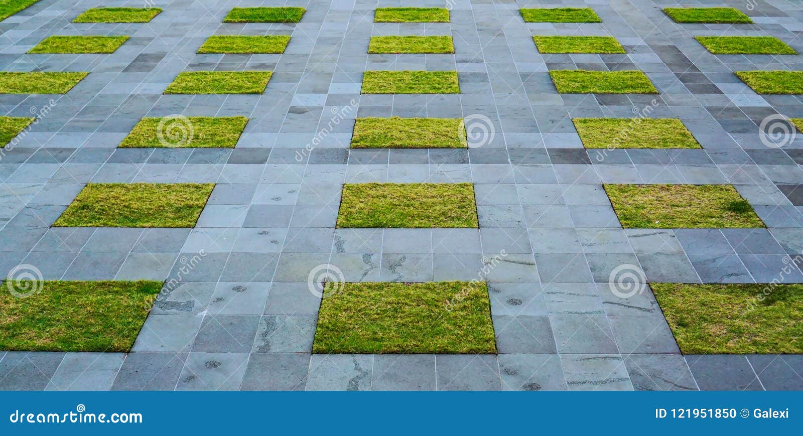 Grass Path Pattern on Stones Stock Photo - Image of natural, grassy ...