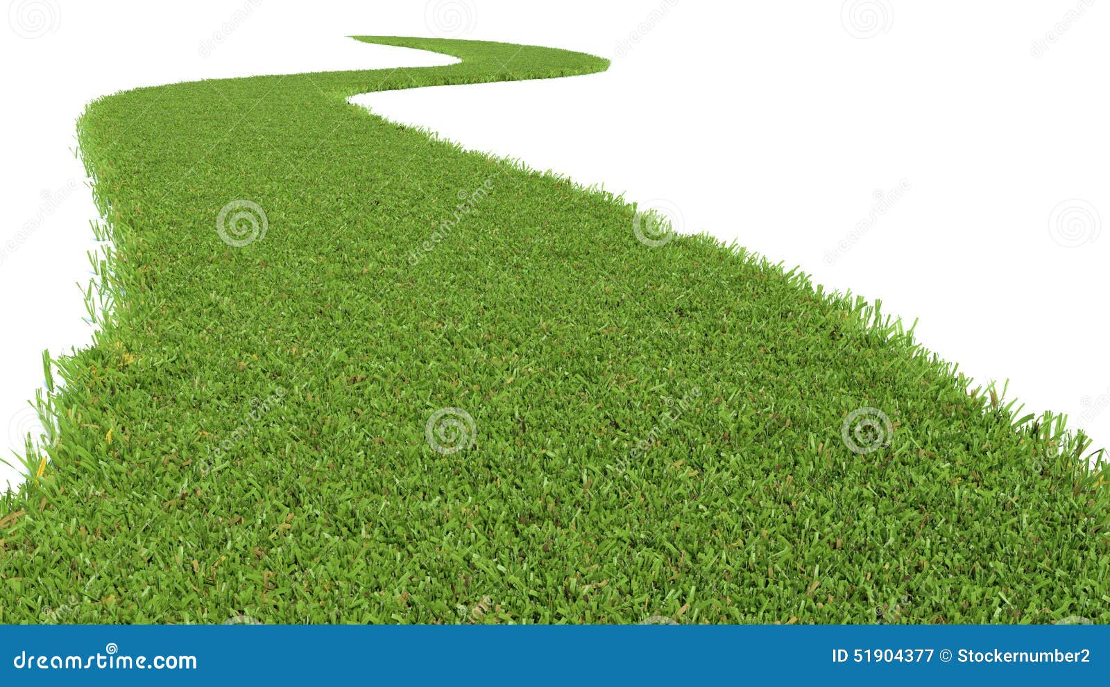 Green Grass path stock illustration. Illustration of green - 51904377