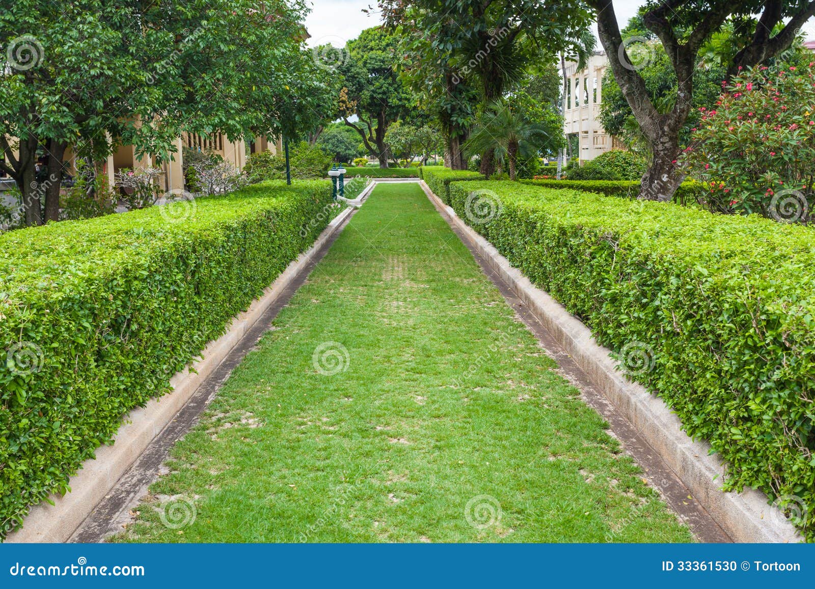 Green grass Pathway stock photo. Image of grass, blue - 33361530