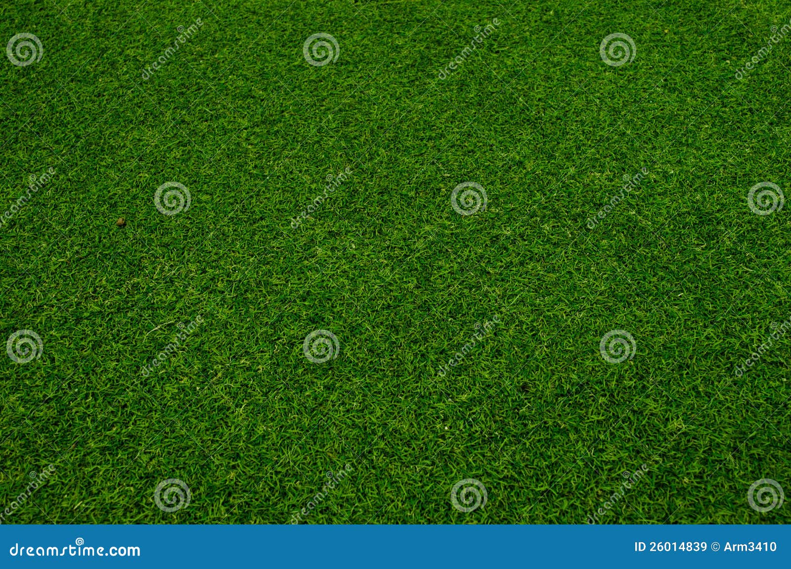 Green Grass Pattern stock image. Image of pattern, texture - 26014839