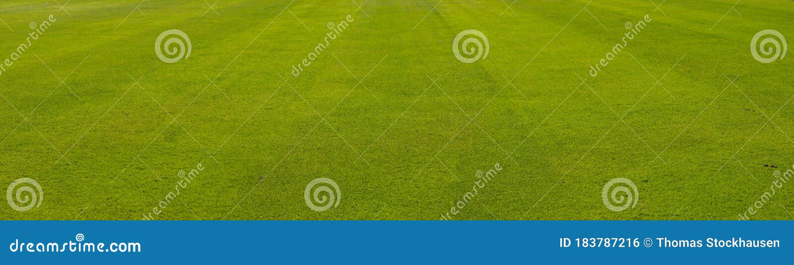 Green Grass with Pattern from a Soccer Field Stock Photo - Image of ...