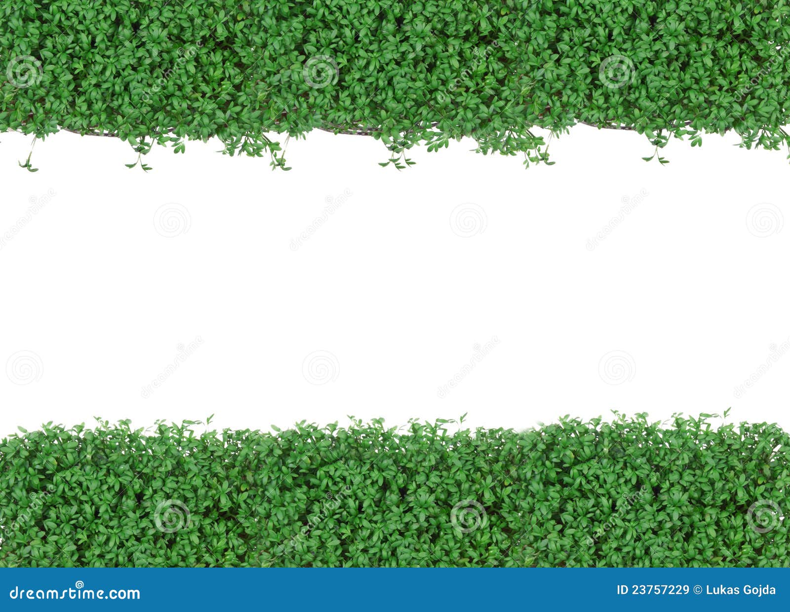 Green grass pillars stock illustration. Illustration of beauty - 23757229