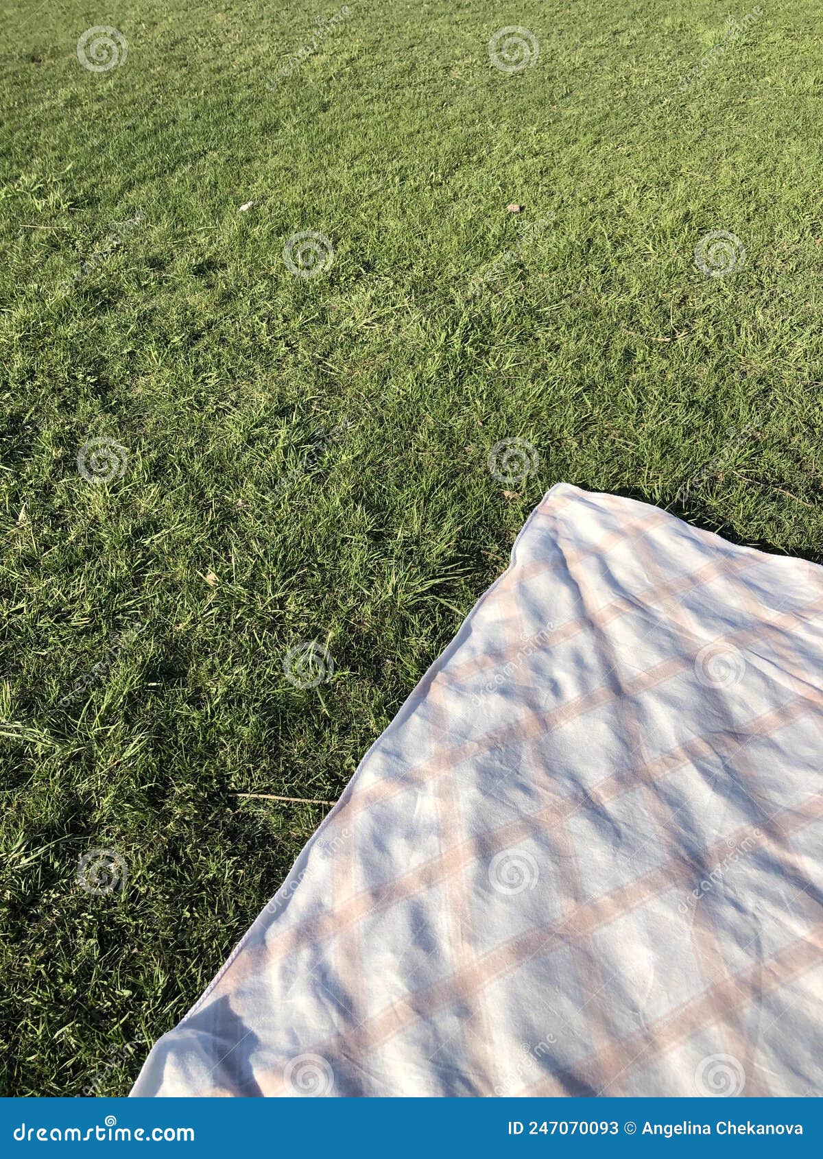 Green grass and plaid stock image. Image of green, garden - 247070093