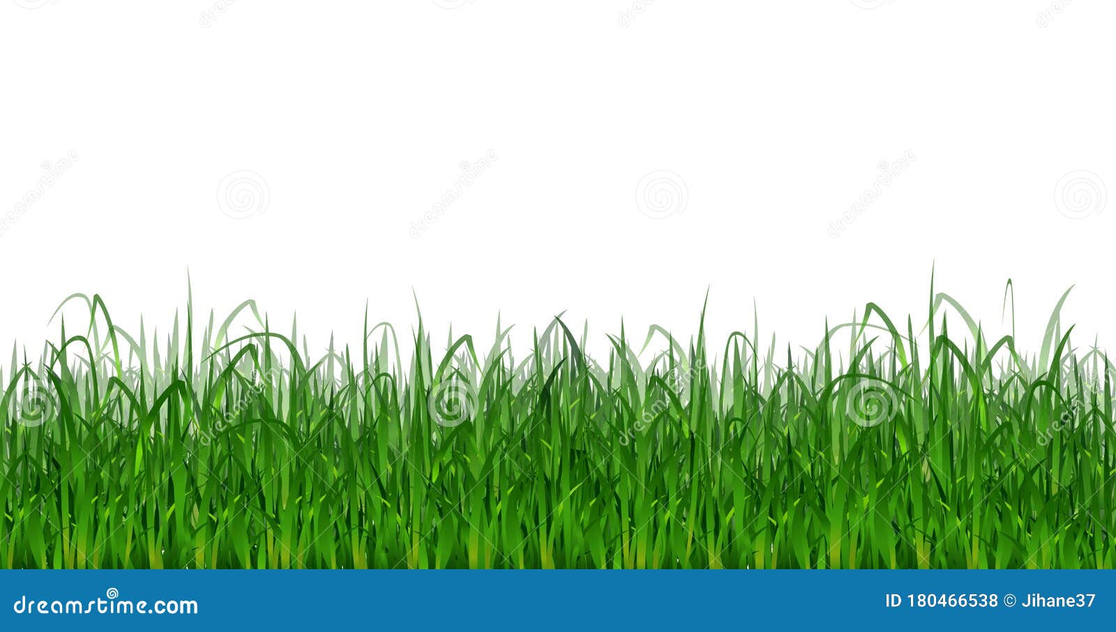 Green Grass Plant Cartoon Vector Ilustration for Your Design Stock ...