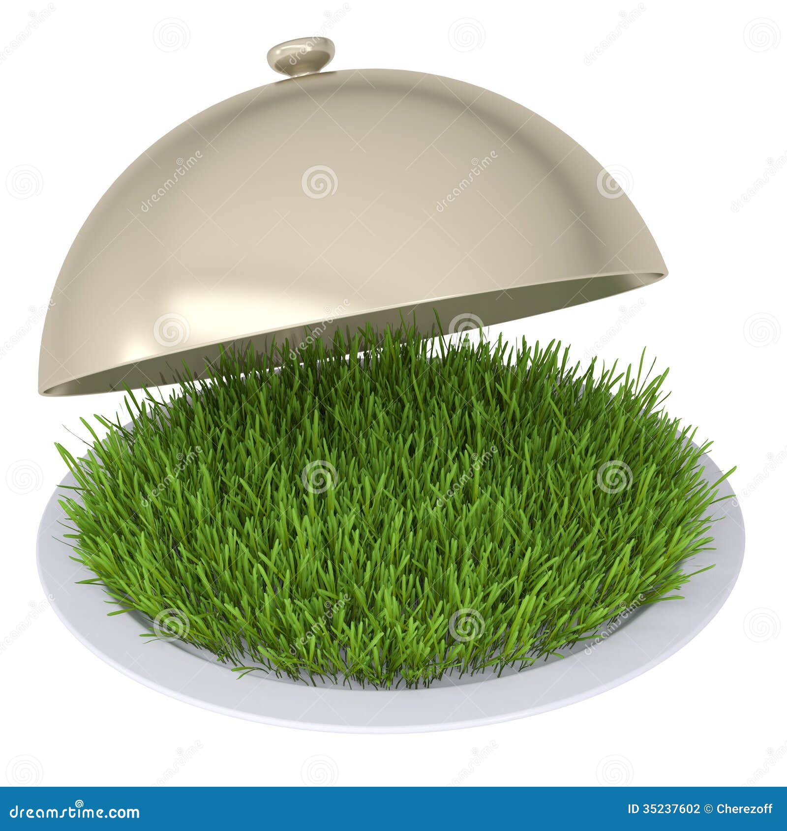 Green Grass on a Plate with a Lid Stock Illustration - Illustration of ...