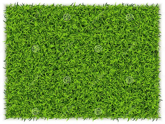 Green Grass Rectangle Background Stock Vector - Illustration of land ...