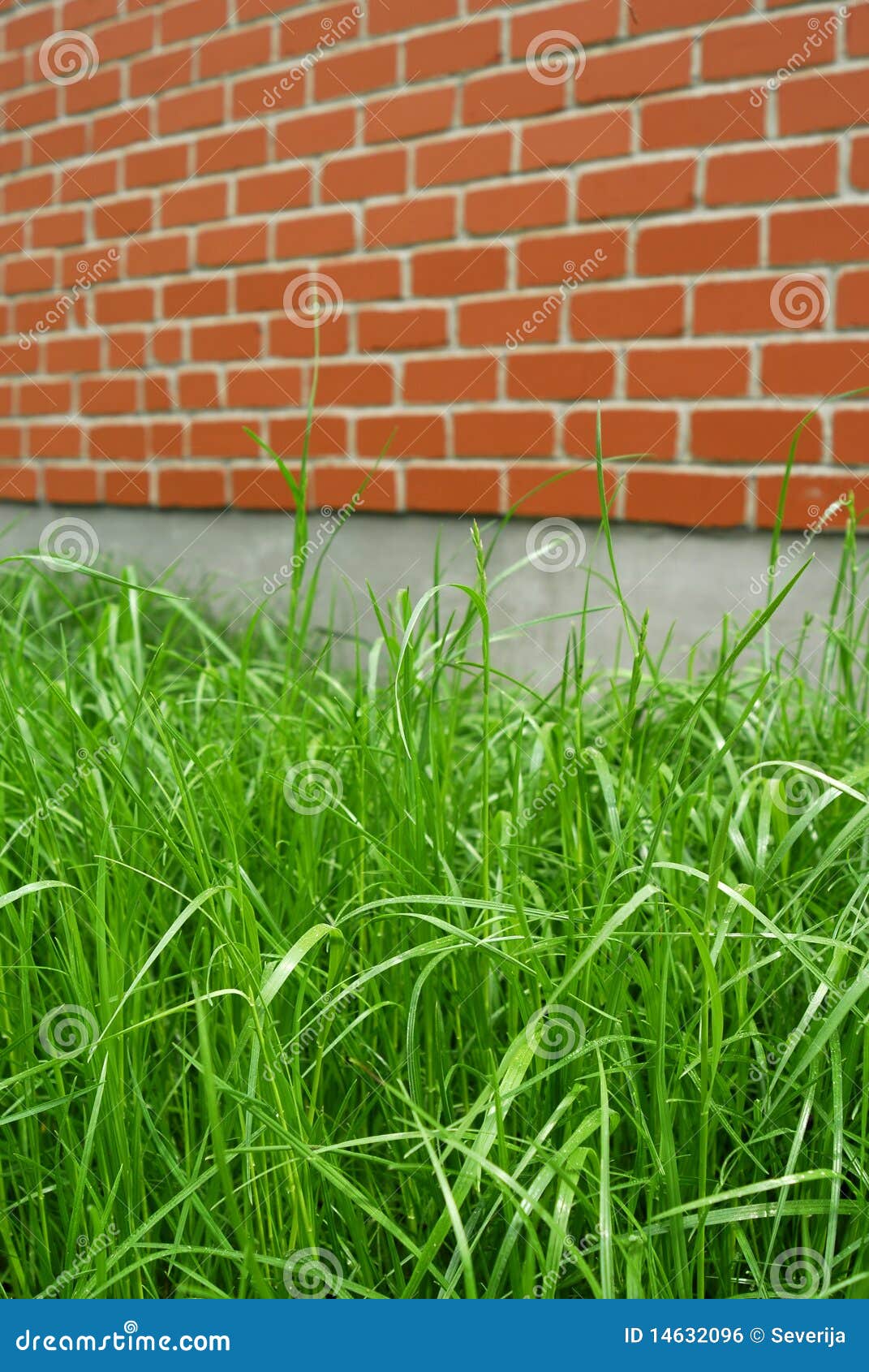 Green Grass and Red Brick Wall Stock Photo - Image of facade, grassland ...