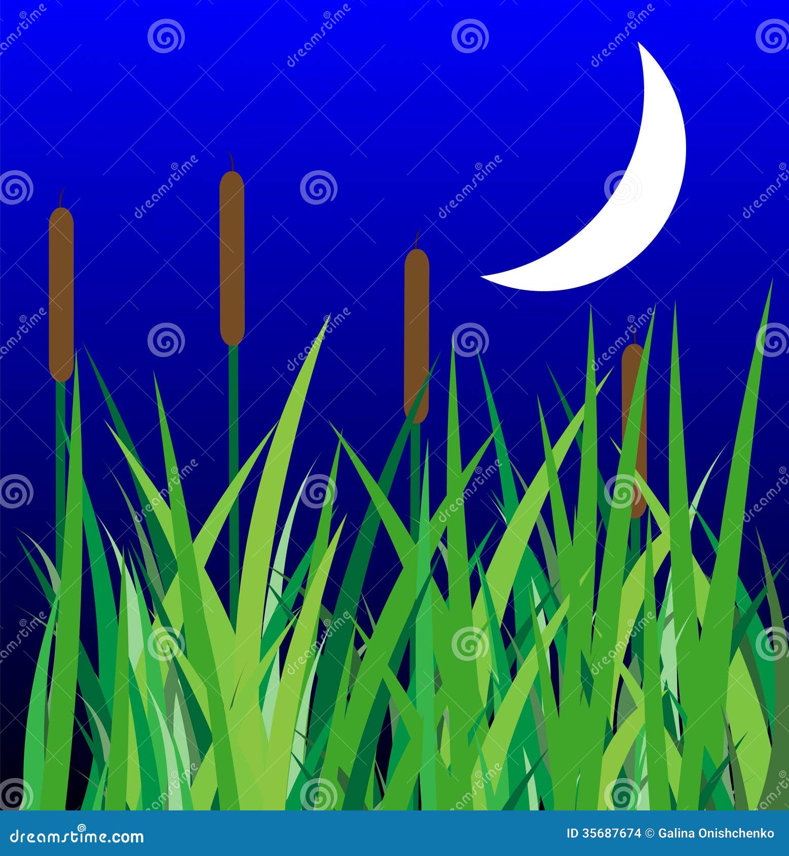 Green Grass with Reeds and Moon Stock Illustration - Illustration of ...