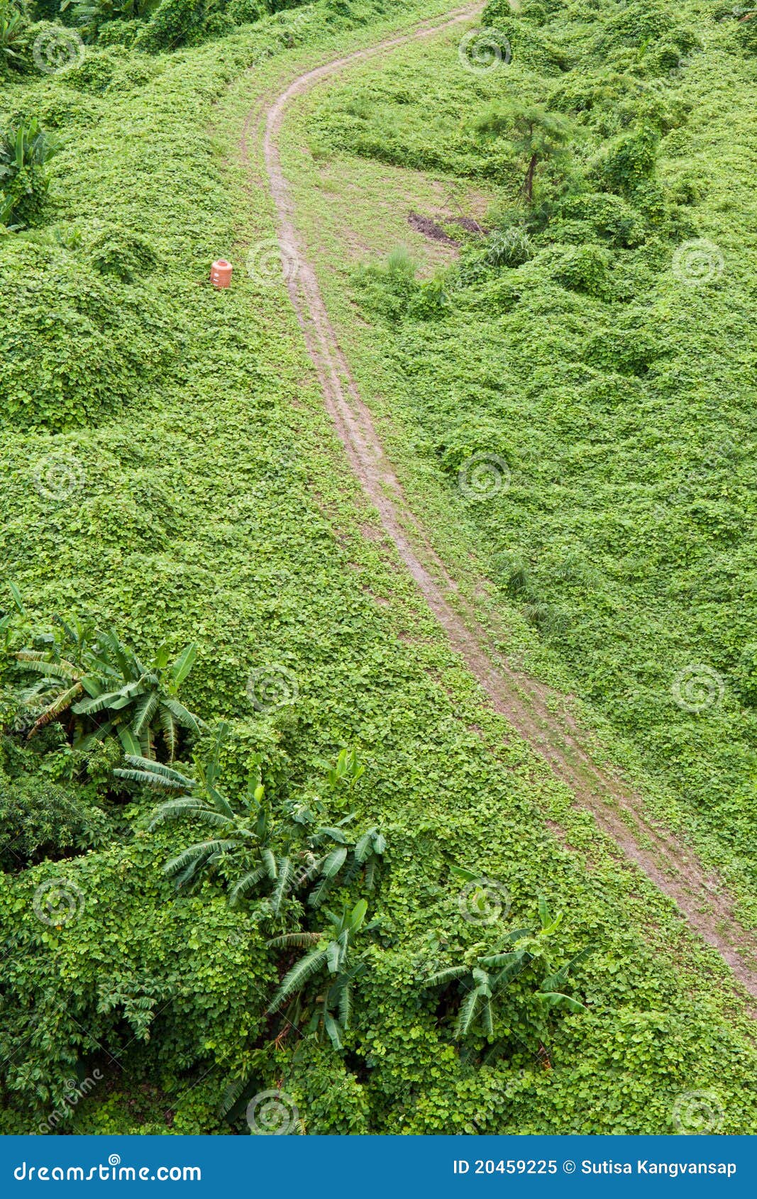 Green grass Road stock image. Image of nature, hill, street - 20459225