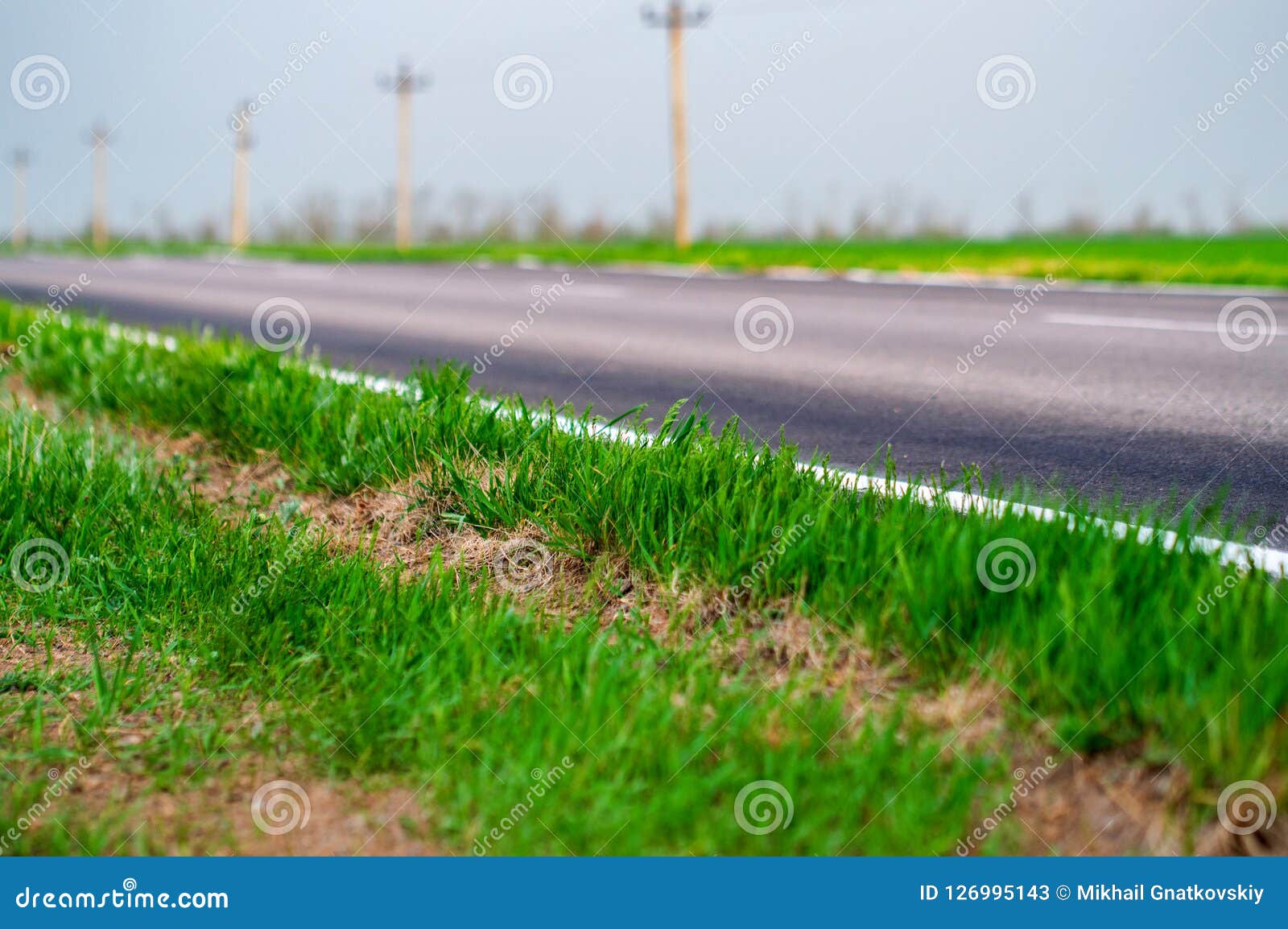 Green Grass on Roadside of Asphalt Road. Nature Concept Stock Image ...