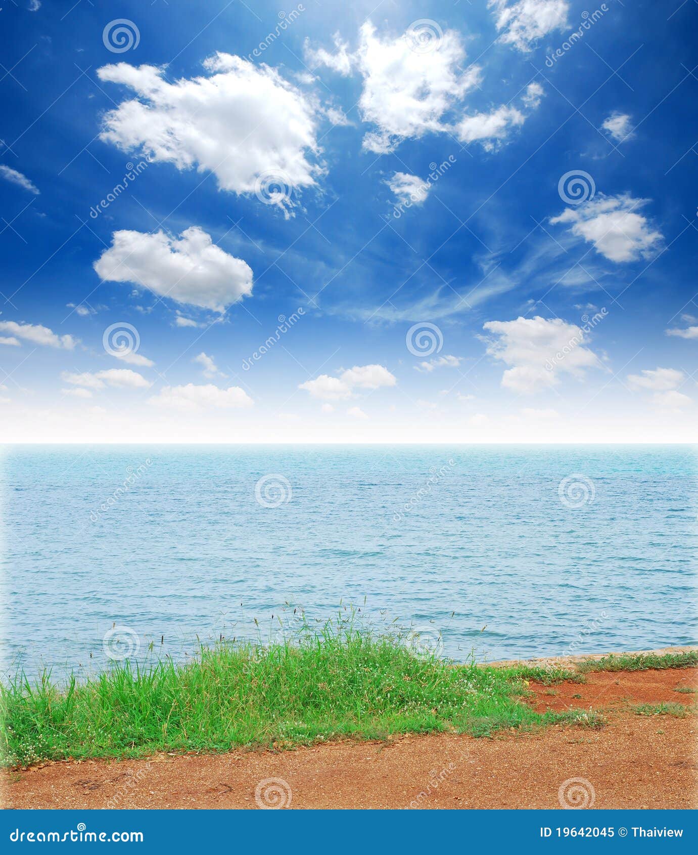 Green Grass Sea Sand Sun Beach Stock Image - Image of nature, peace ...