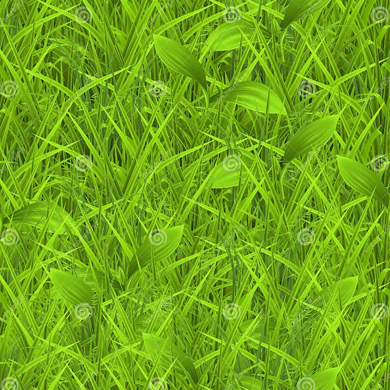 Green Grass, Seamless Pattern Stock Vector - Illustration of leaf ...