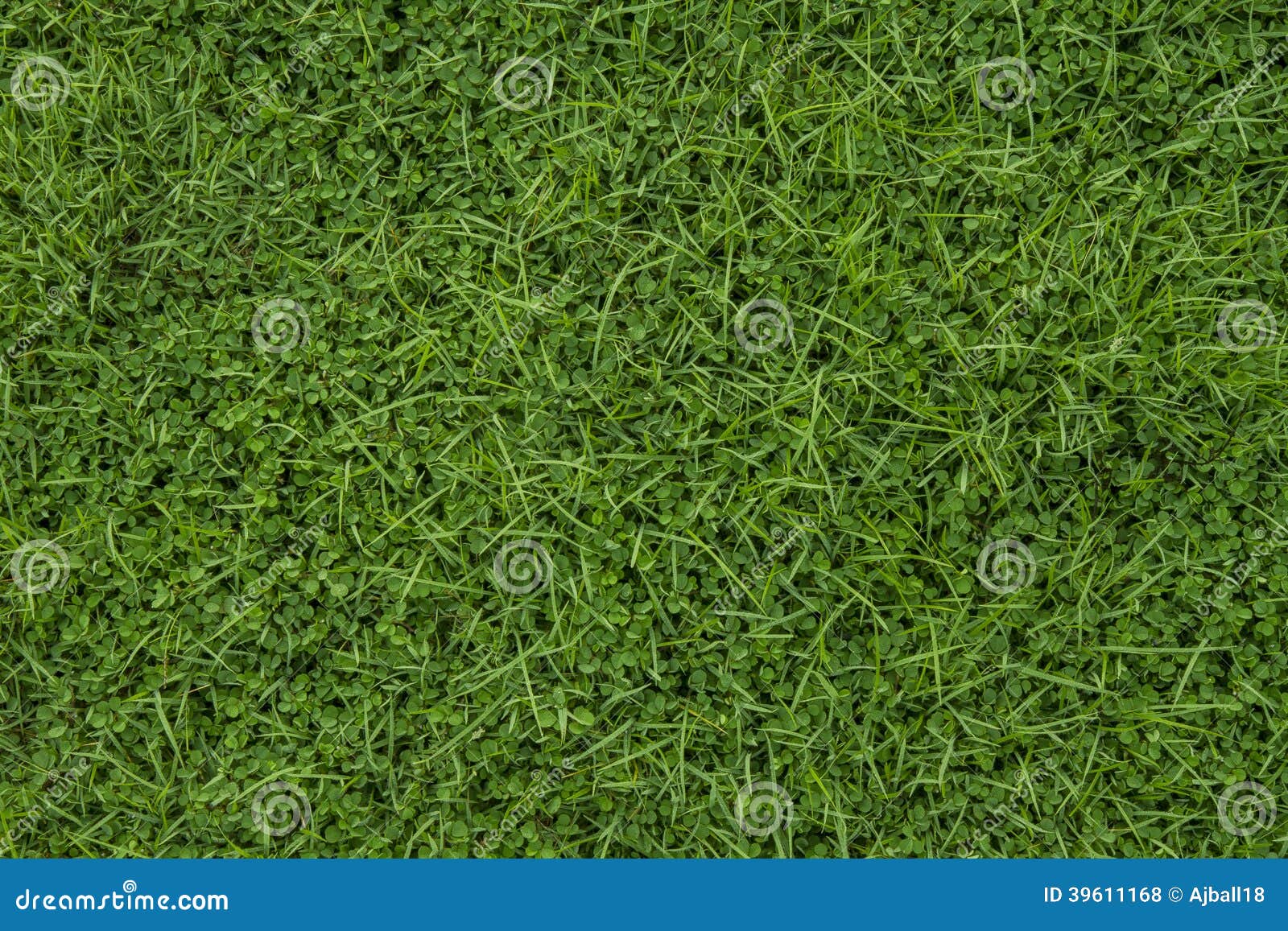 Green Grass Seamless Texture Stock Photo - Image of nature, ground ...