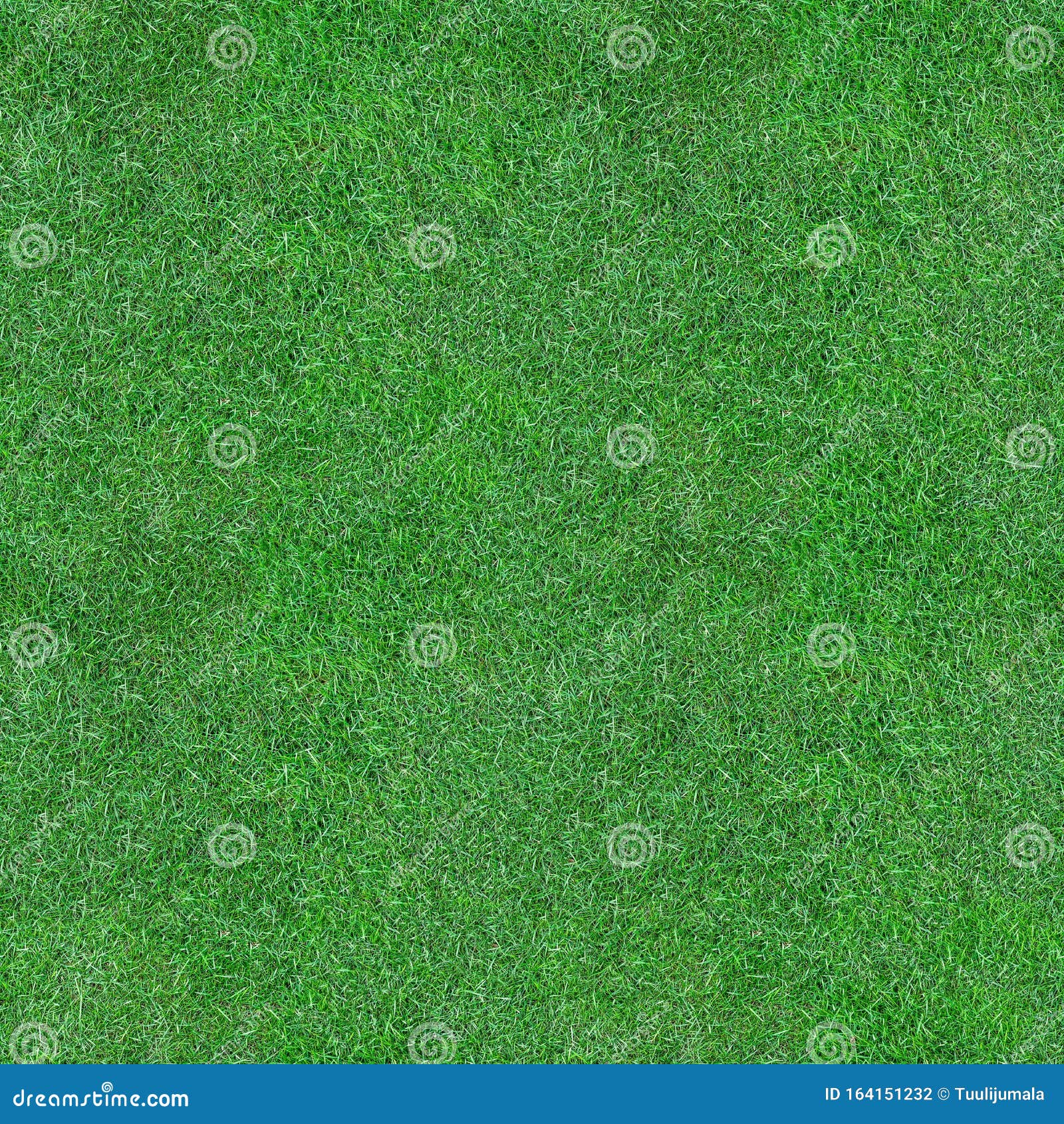 Green Grass Seamless Texture Stock Photo - Image of field, empty: 164151232