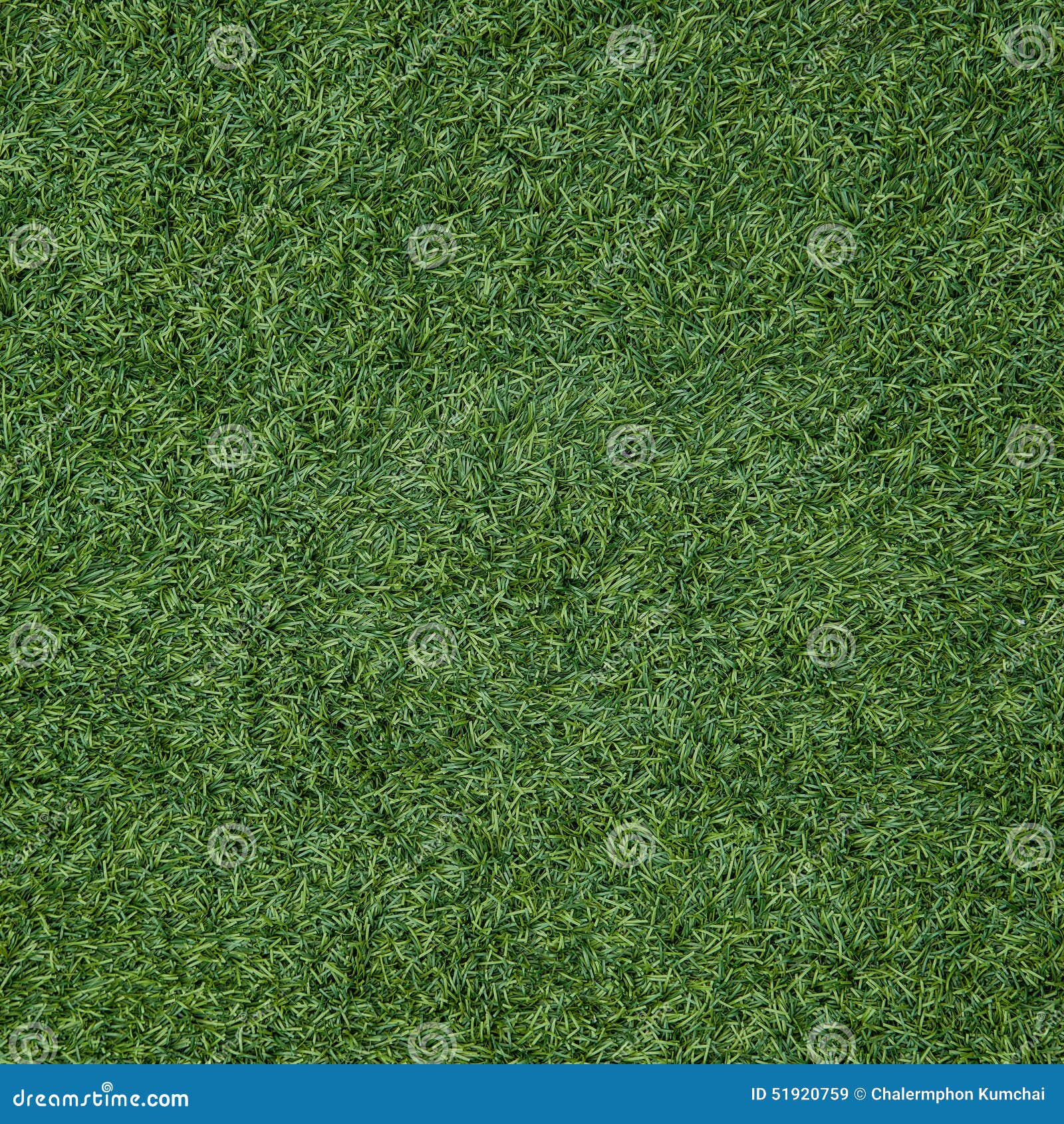 Green Grass Seamless Texture. Seamless in only Horizontal Dimens Stock ...