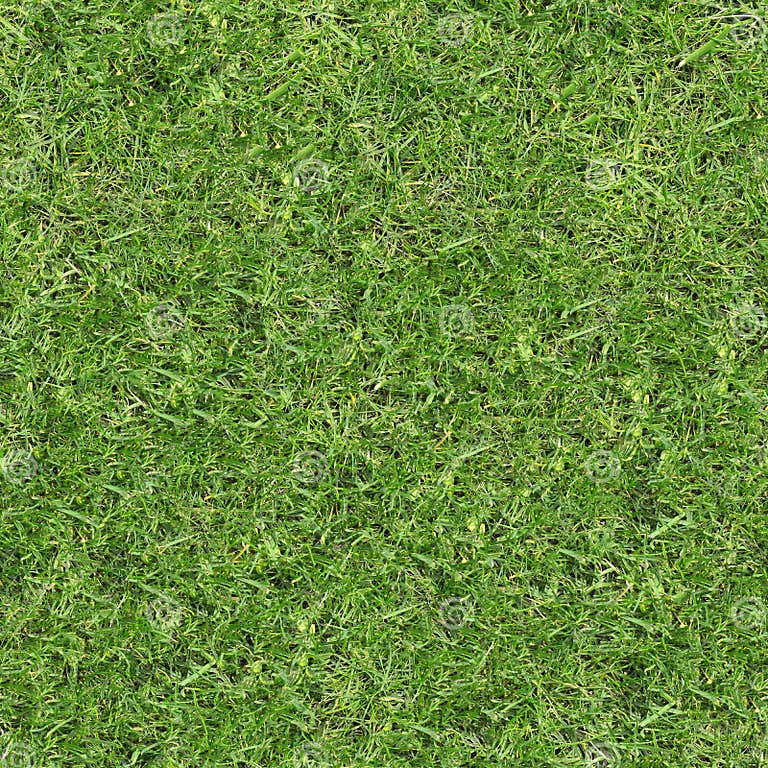 Green Grass Seamless Texture. Seamless in Horizontal and Vertical ...