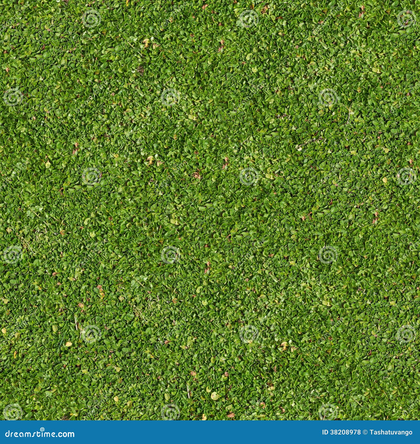 Grass Tile Texture