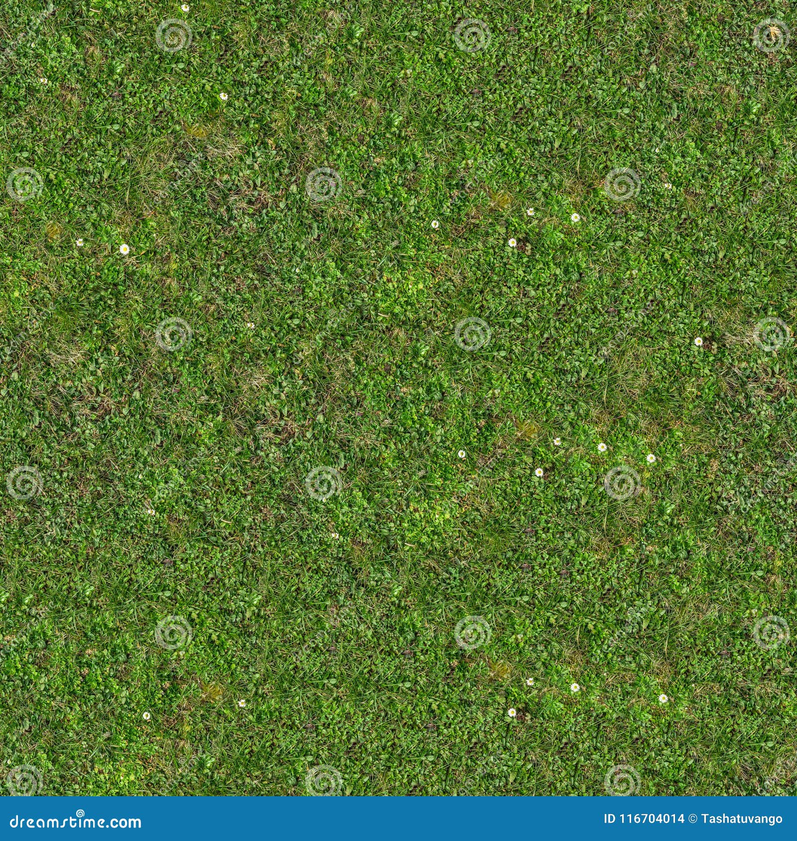 Seamless grass texture tiles - rmvery