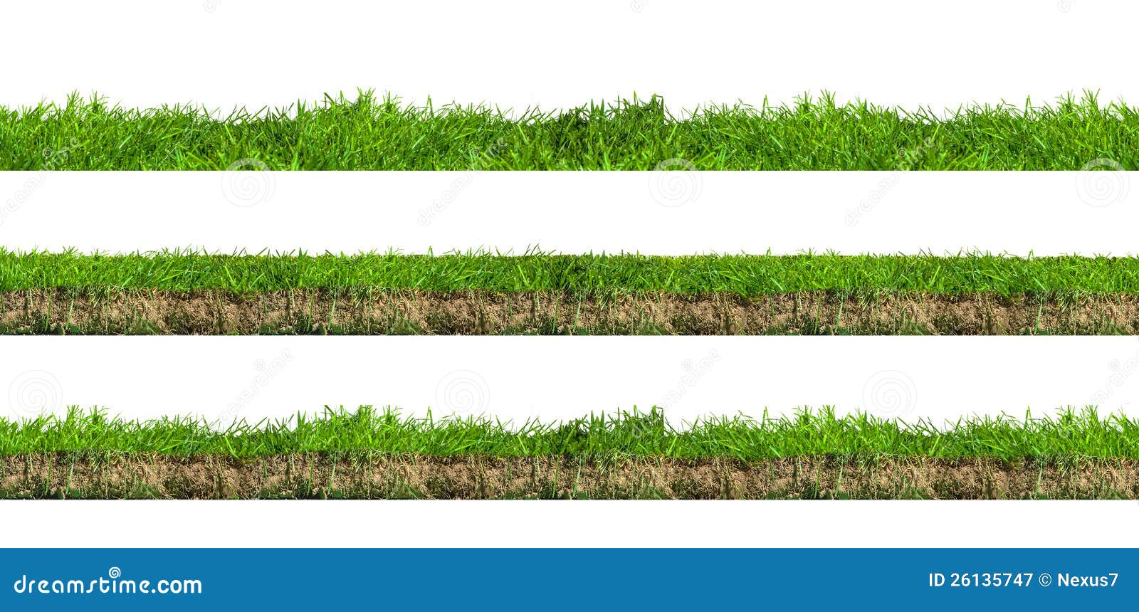 Green Grass Sections stock image. Image of field, green - 26135747