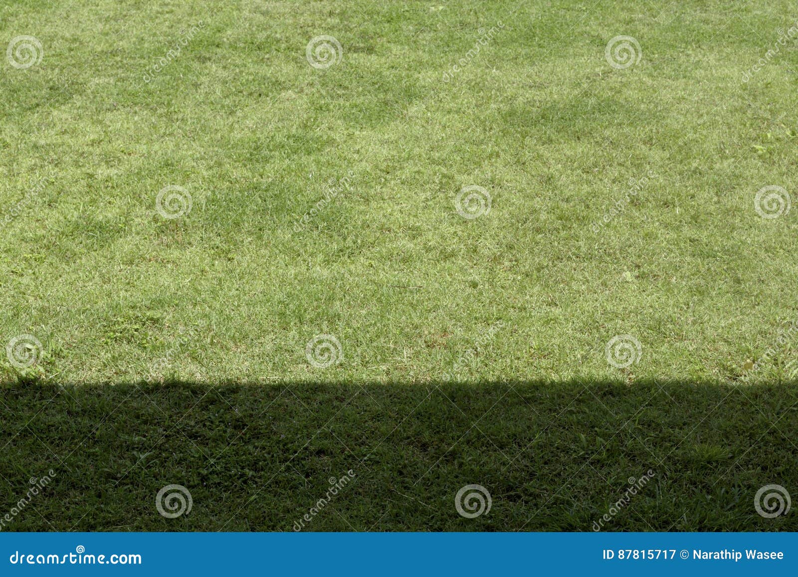 Green Grass Shade and Shadow Closeup Stock Image - Image of exterior ...