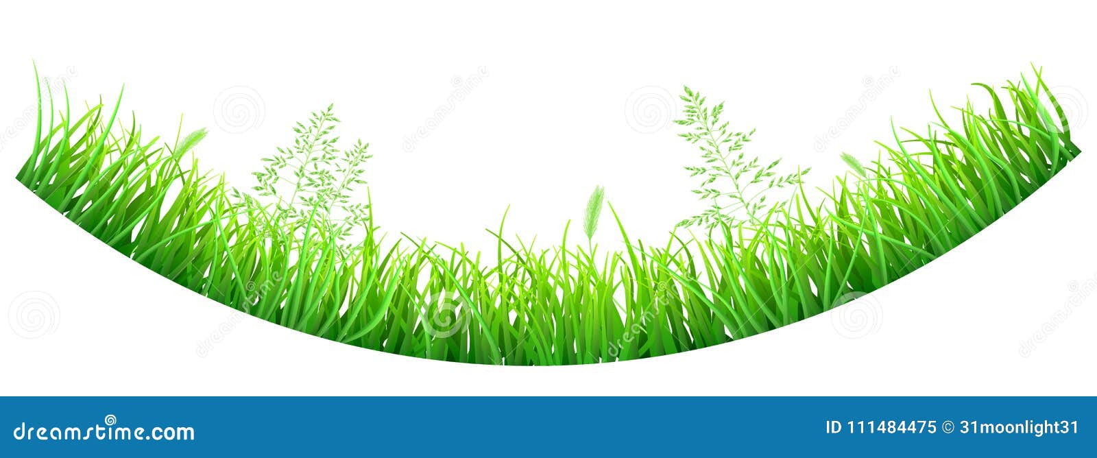 Green Grass in the Shape of an Arc Stock Vector - Illustration of ...