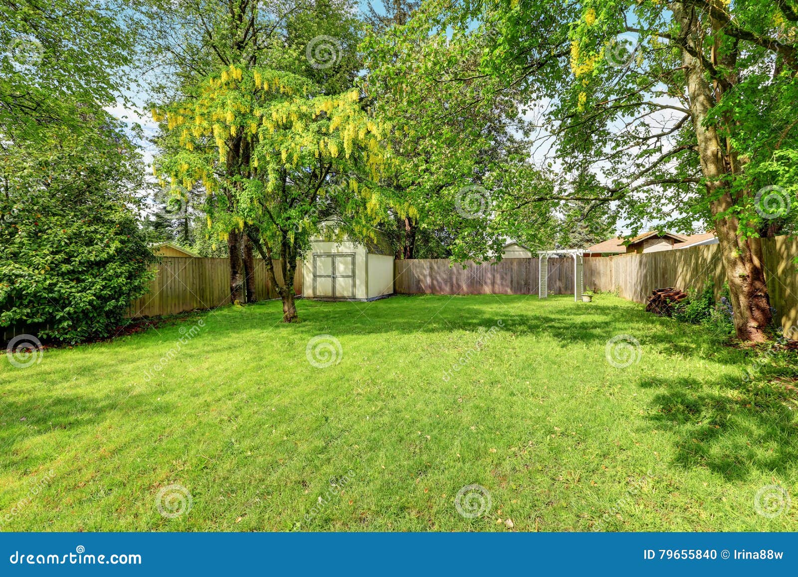 Green Grass and a Shed in Empty Fenced Back Yard Stock Photo - Image of ...