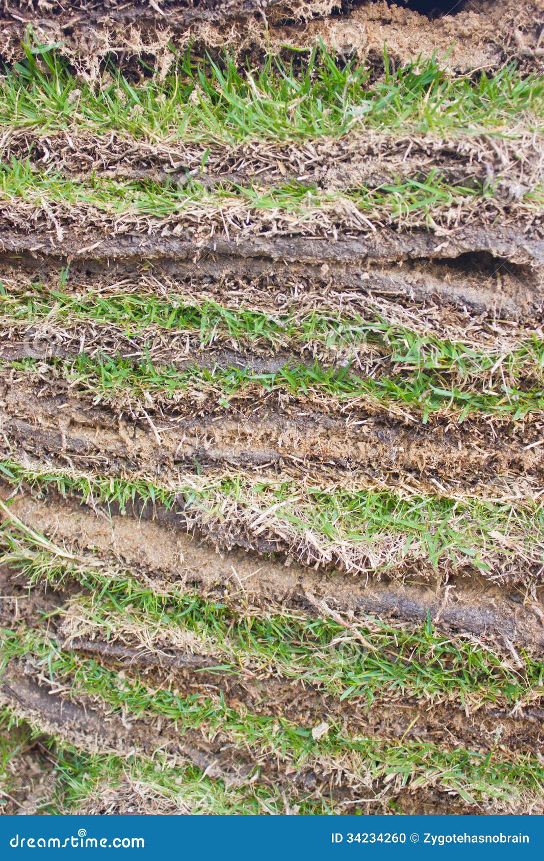 Green Grass Sheets As Layers. Stock Photo - Image of decorate ...