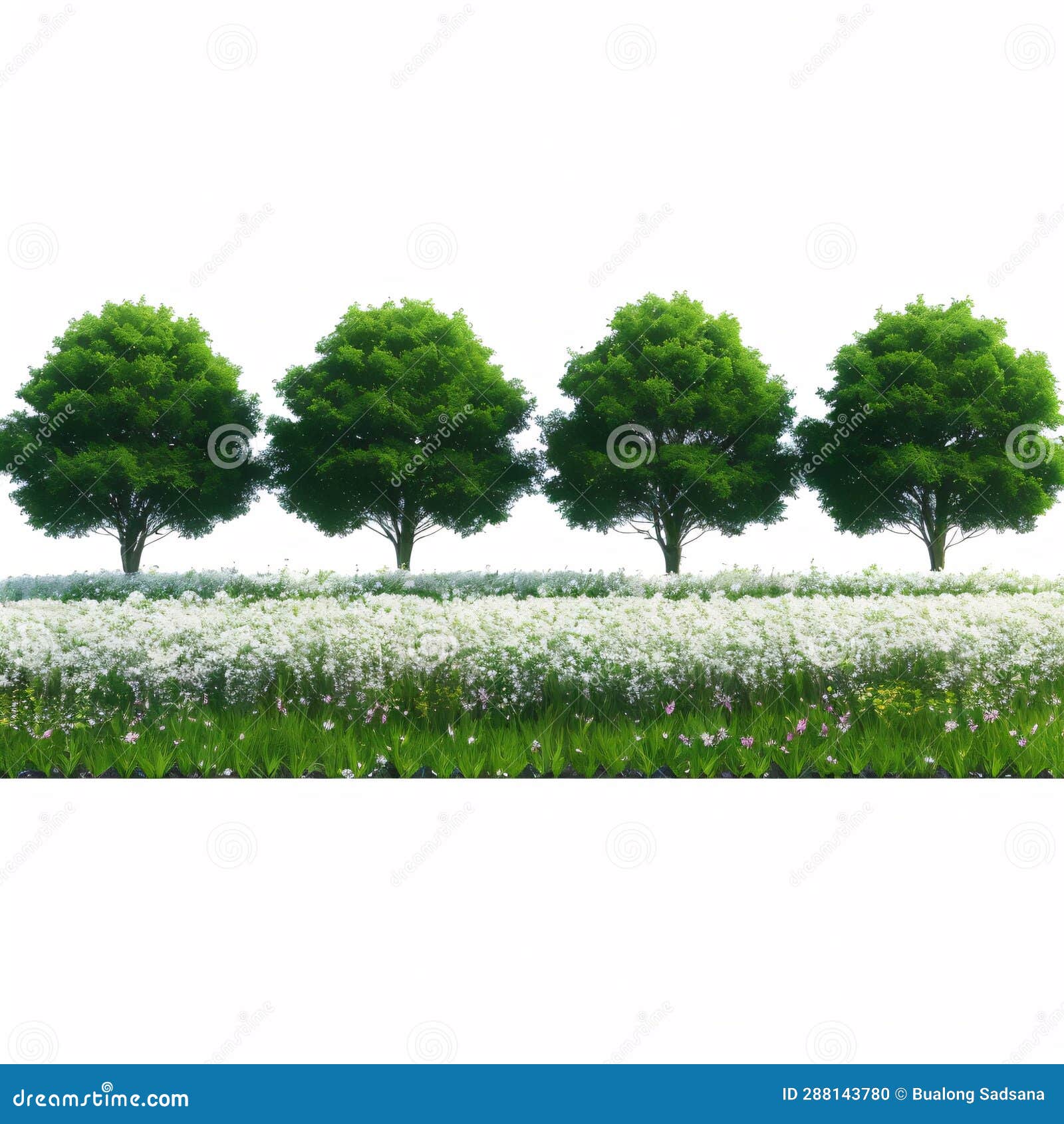Green Grass or Shrub, Tree Elevation for Landscape Concept, Environment ...