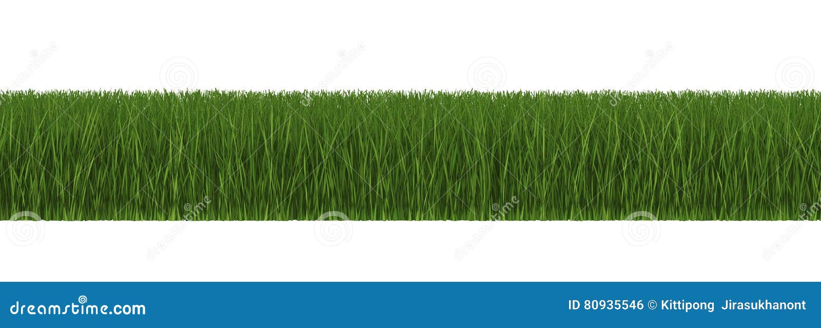 Green Grass Side View Isolated on White Stock Photo - Image of ...