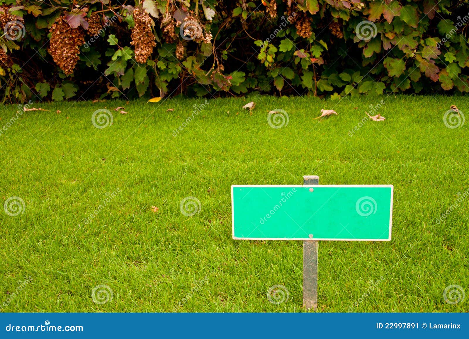 Green Grass with a Sign and Bush Stock Image - Image of conservation ...