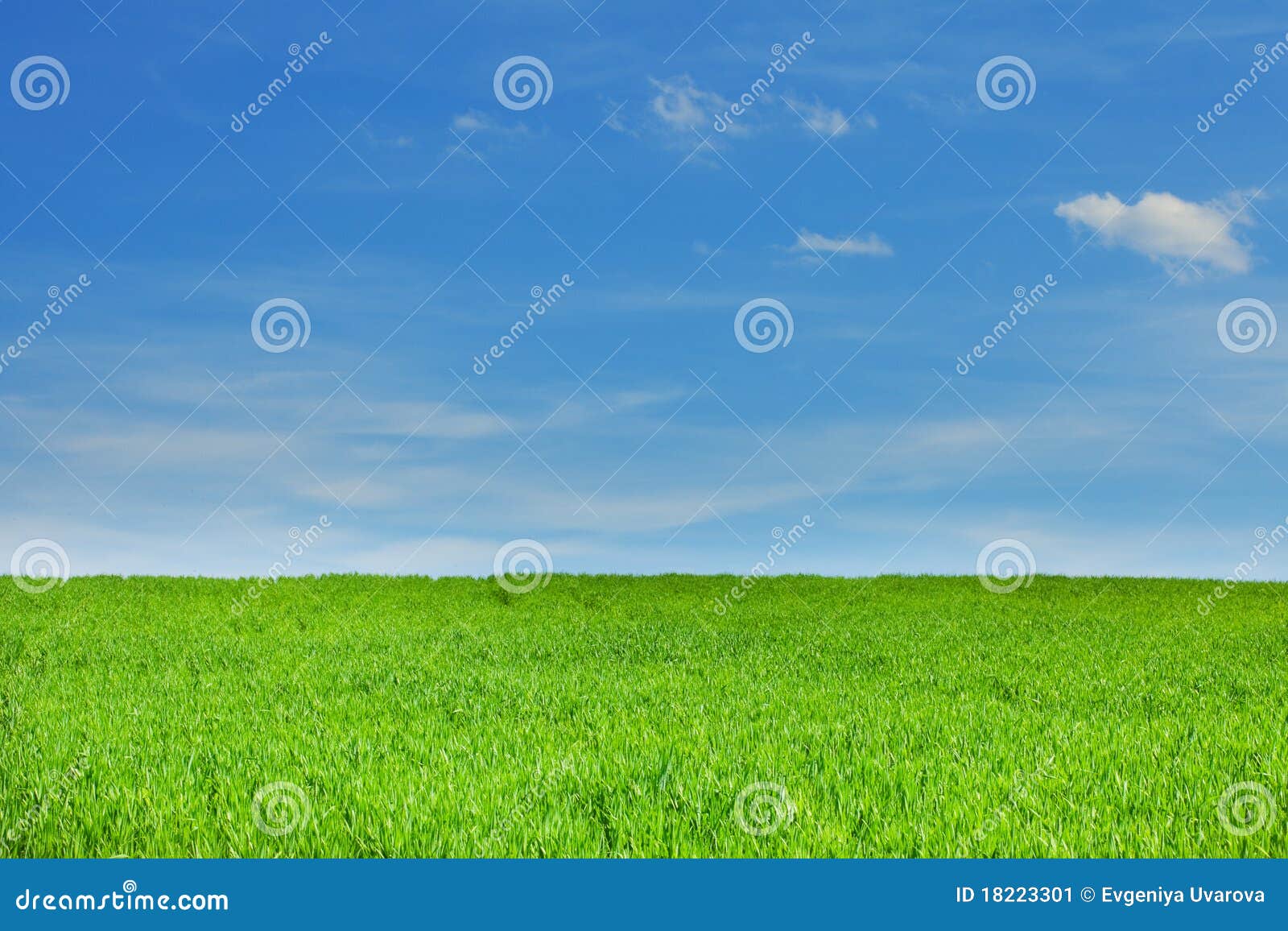 Green Grass and Sky stock image. Image of horizontal - 18223301