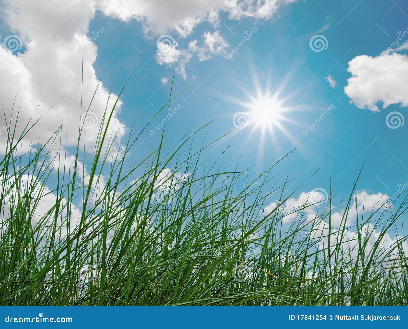 Sky Clouds Sun Grass