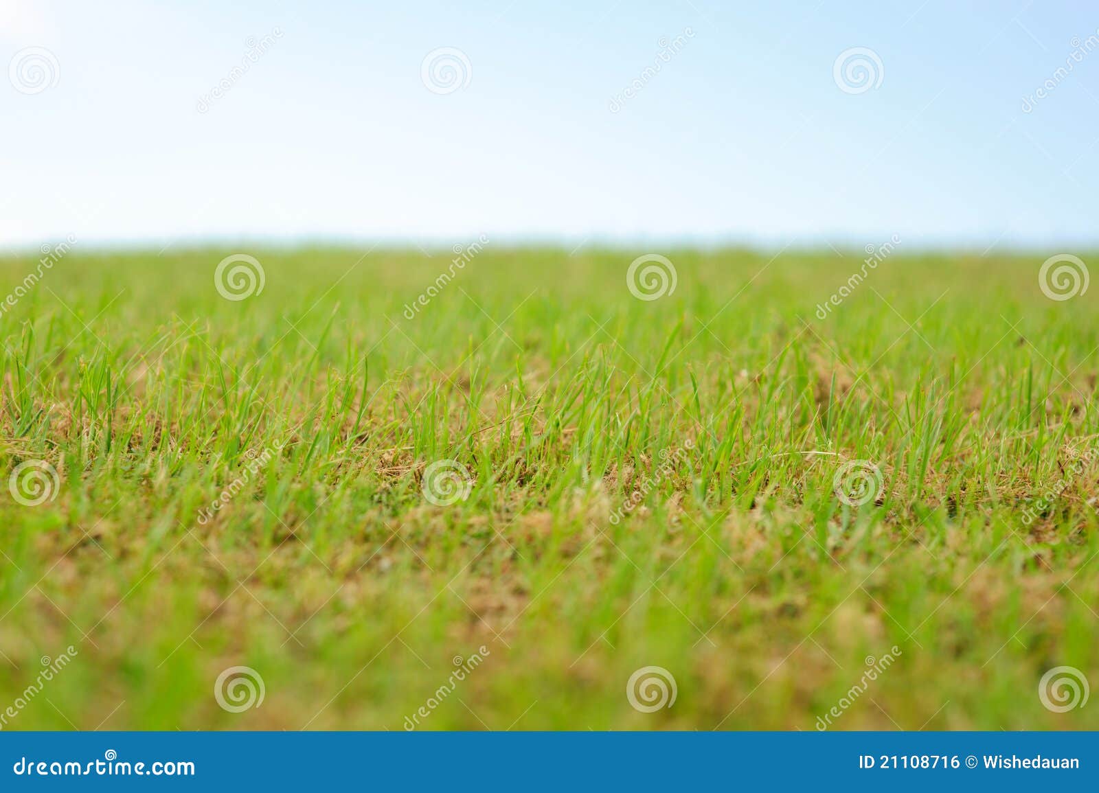 Green Grass Smooth Sky Background Stock Photo - Image of blur, trails ...