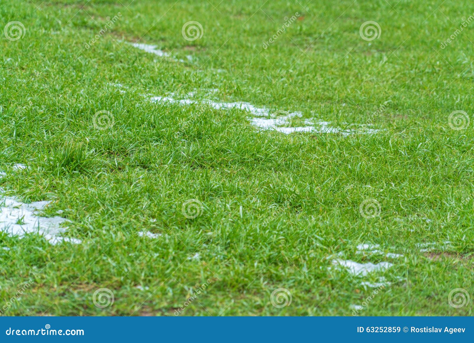 Green Grass with Snow Patches Stock Image - Image of lawn, garden: 63252859