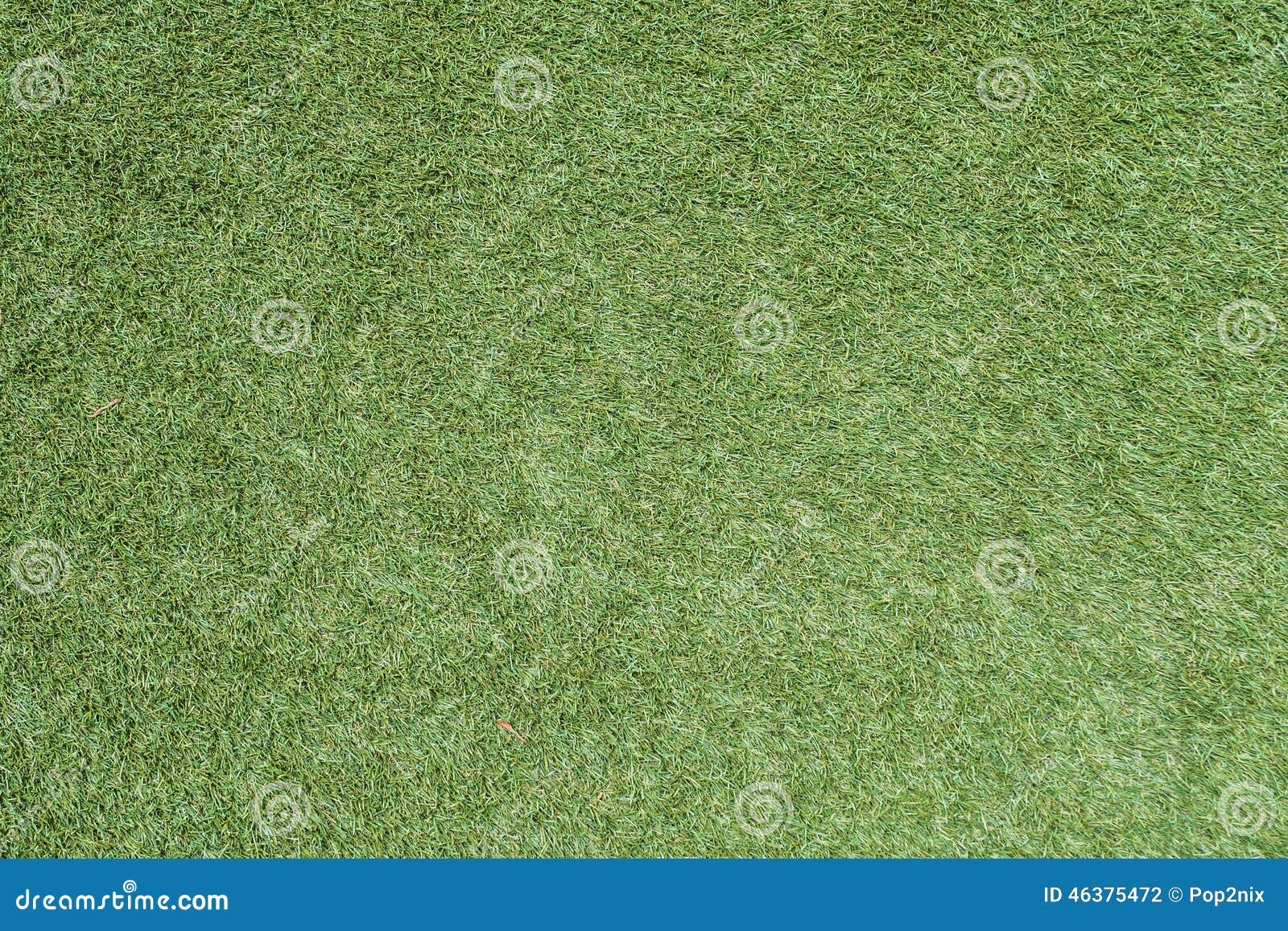 Green Grass Soccer Field Texture and Background Stock Photo - Image of ...