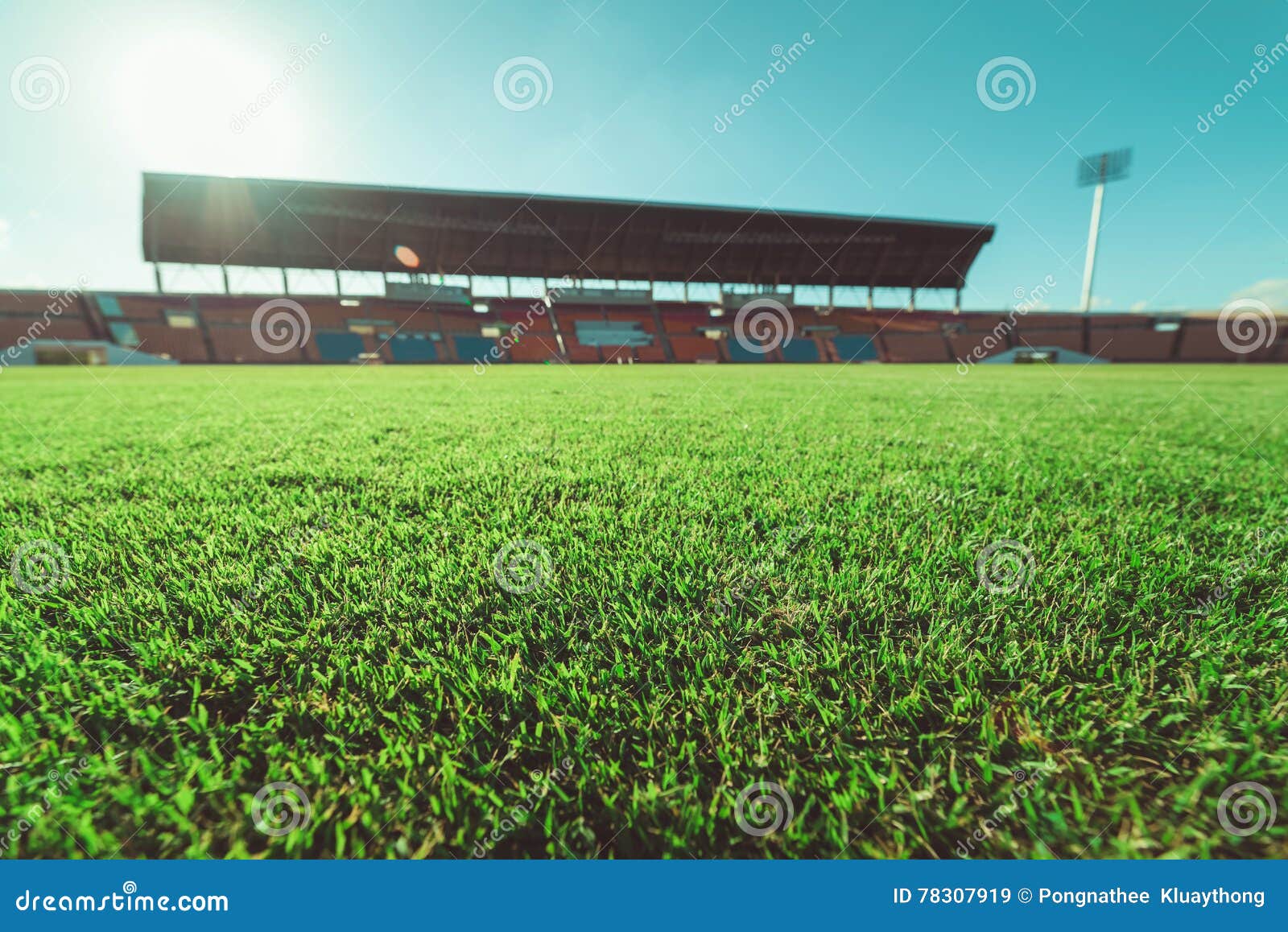 Green Grass in Soccer Stadium , Vintage Stock Image - Image of sport ...