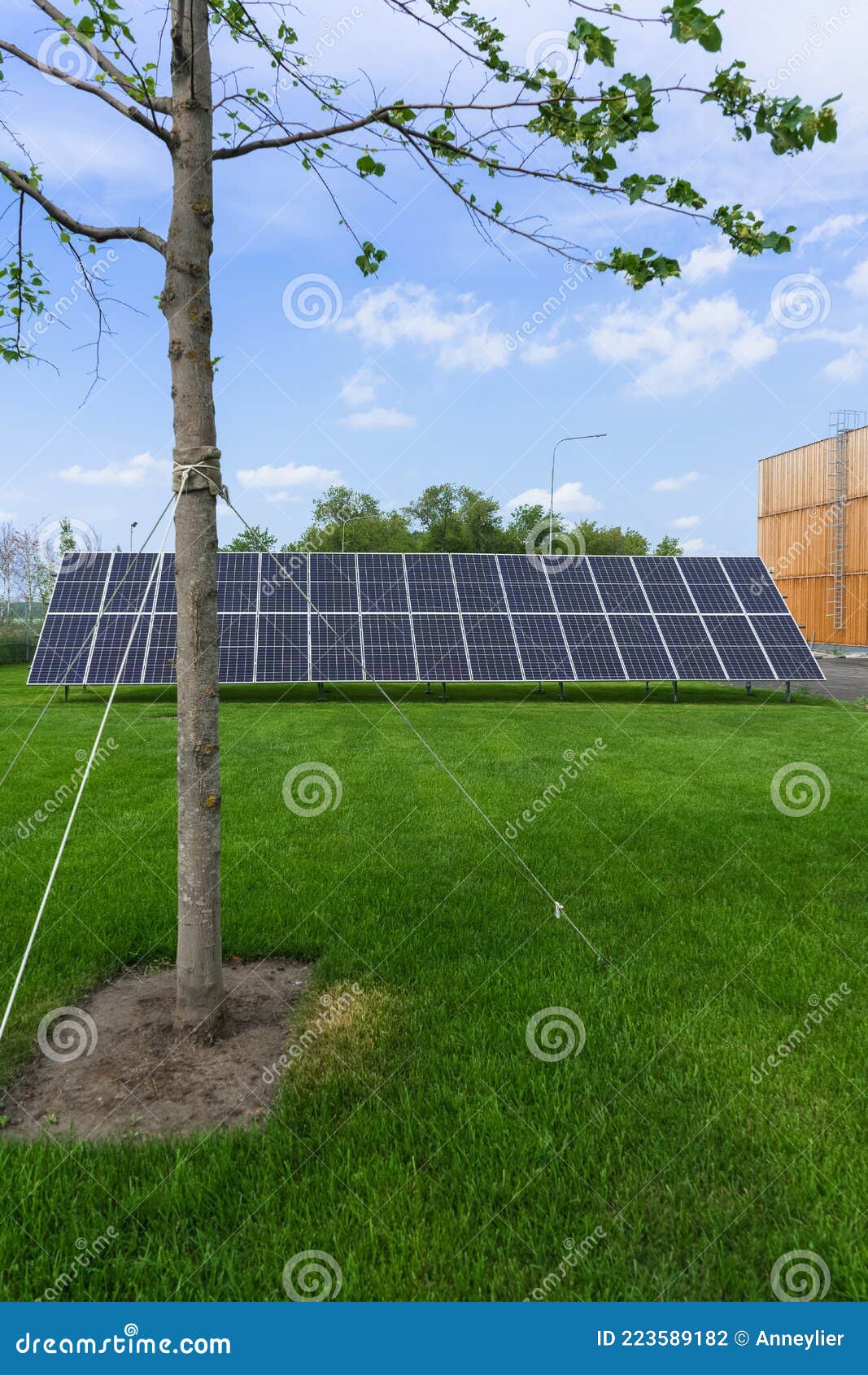 Green Grass and Solar Panel Stock Photo - Image of electrical ...