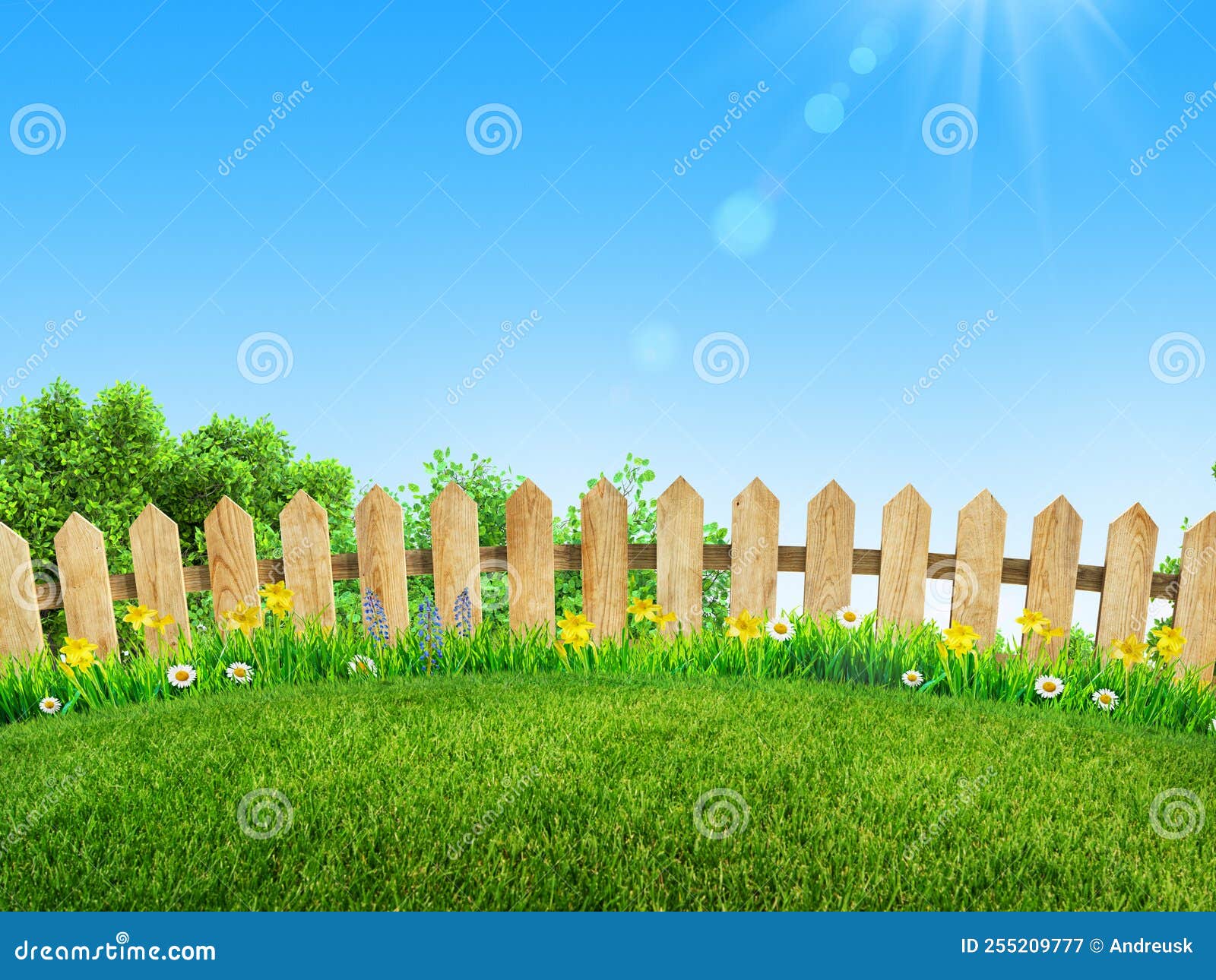 Green Grass and Spring Flowers at Backyard Stock Image - Image of ...