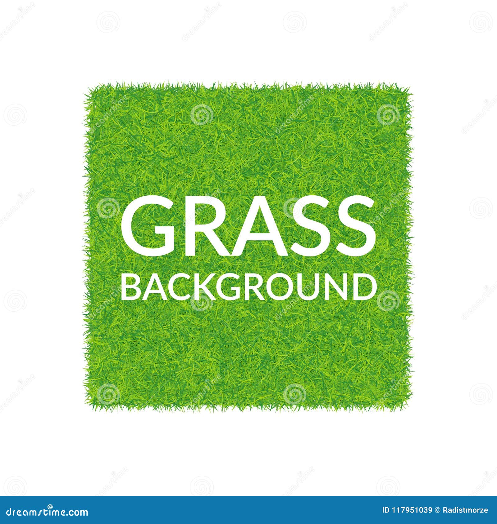 Grass Square 3D. Beautiful Green Grassy Field, Isolated On White ...
