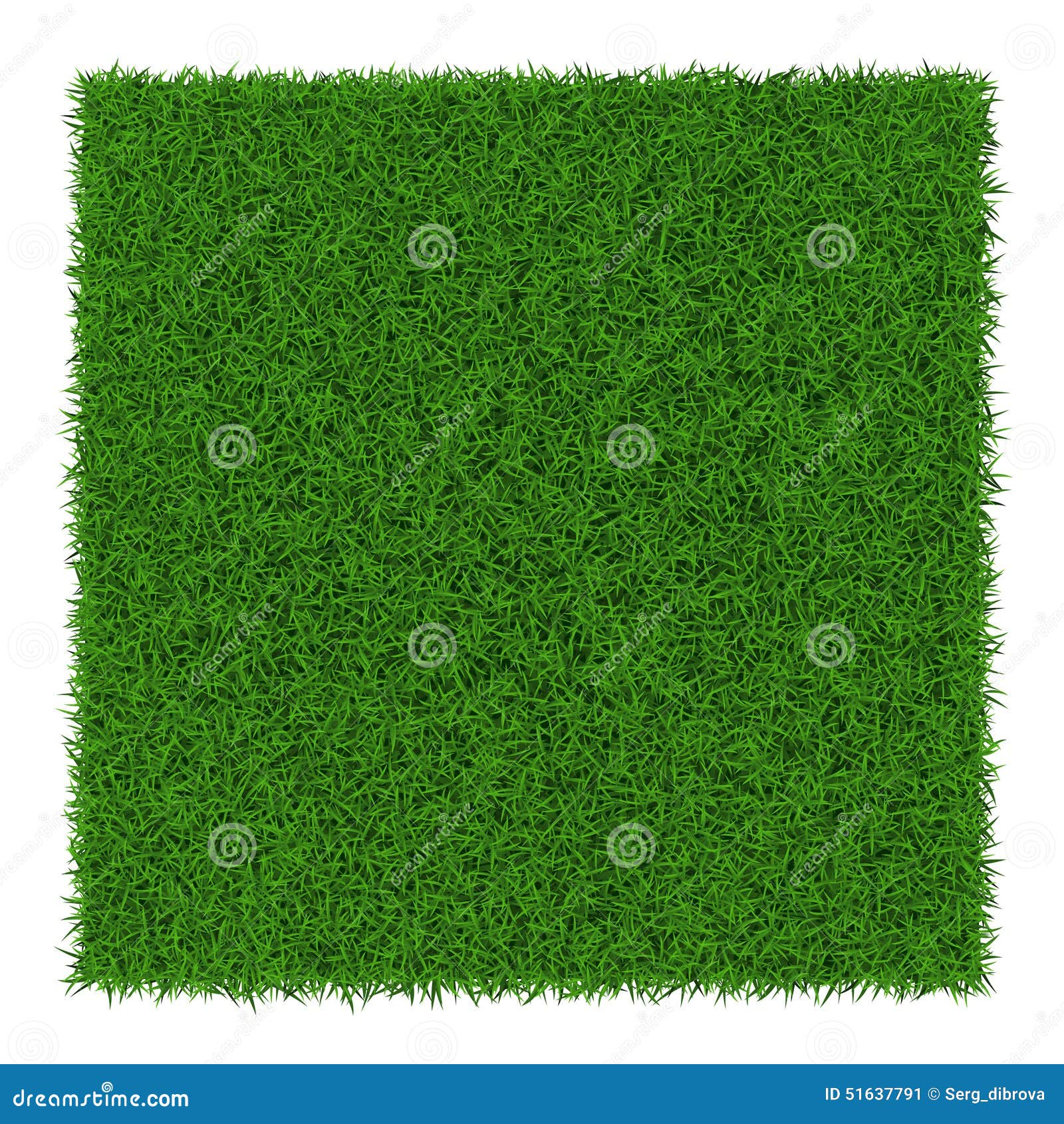 Green grass stock vector. Illustration of meadow, organic - 51637791