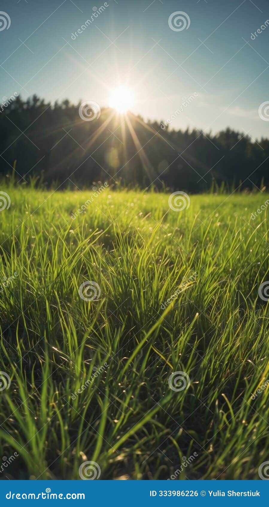 Green Grass and Sun a Concept of Spring and Landscape Beauty. Stock ...