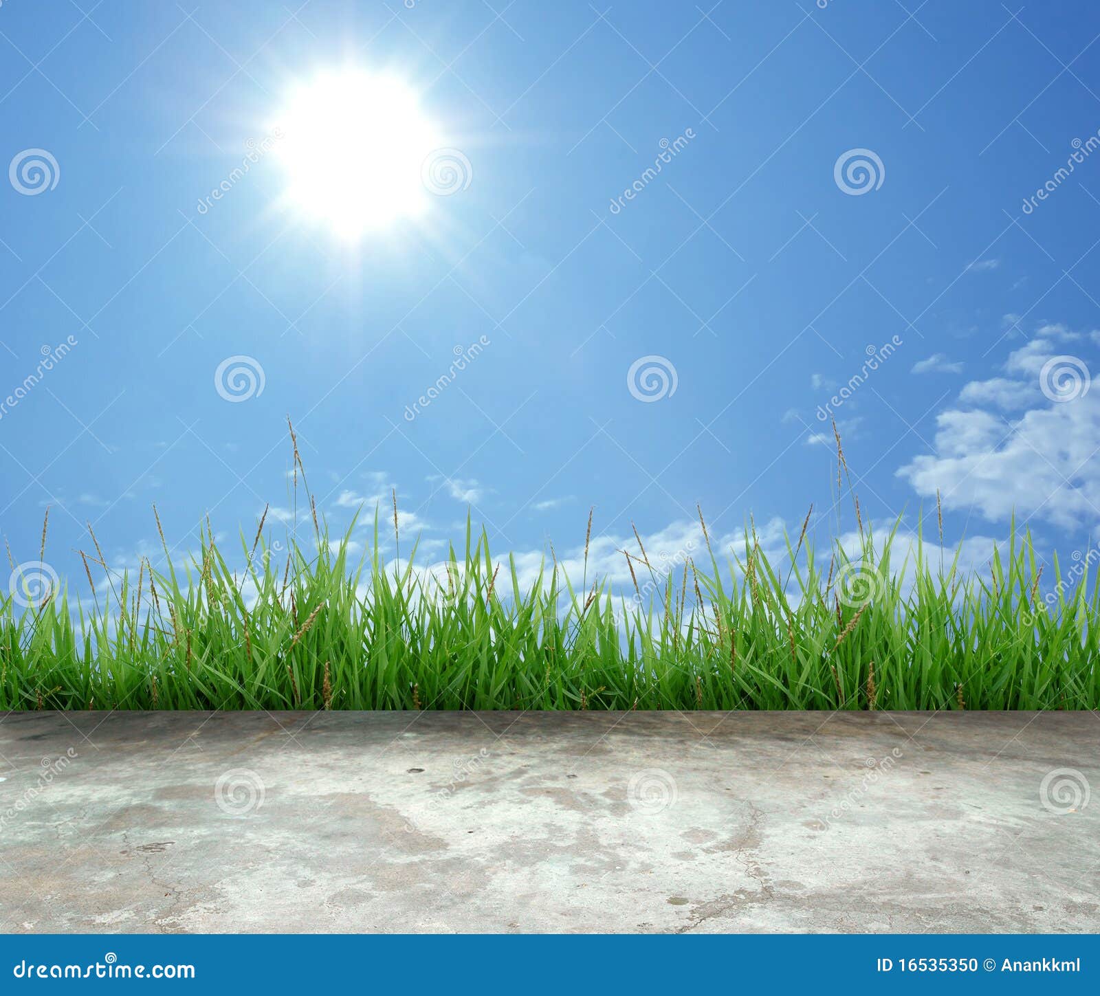 Green grass and sunshine stock photo. Image of cloud - 16535350