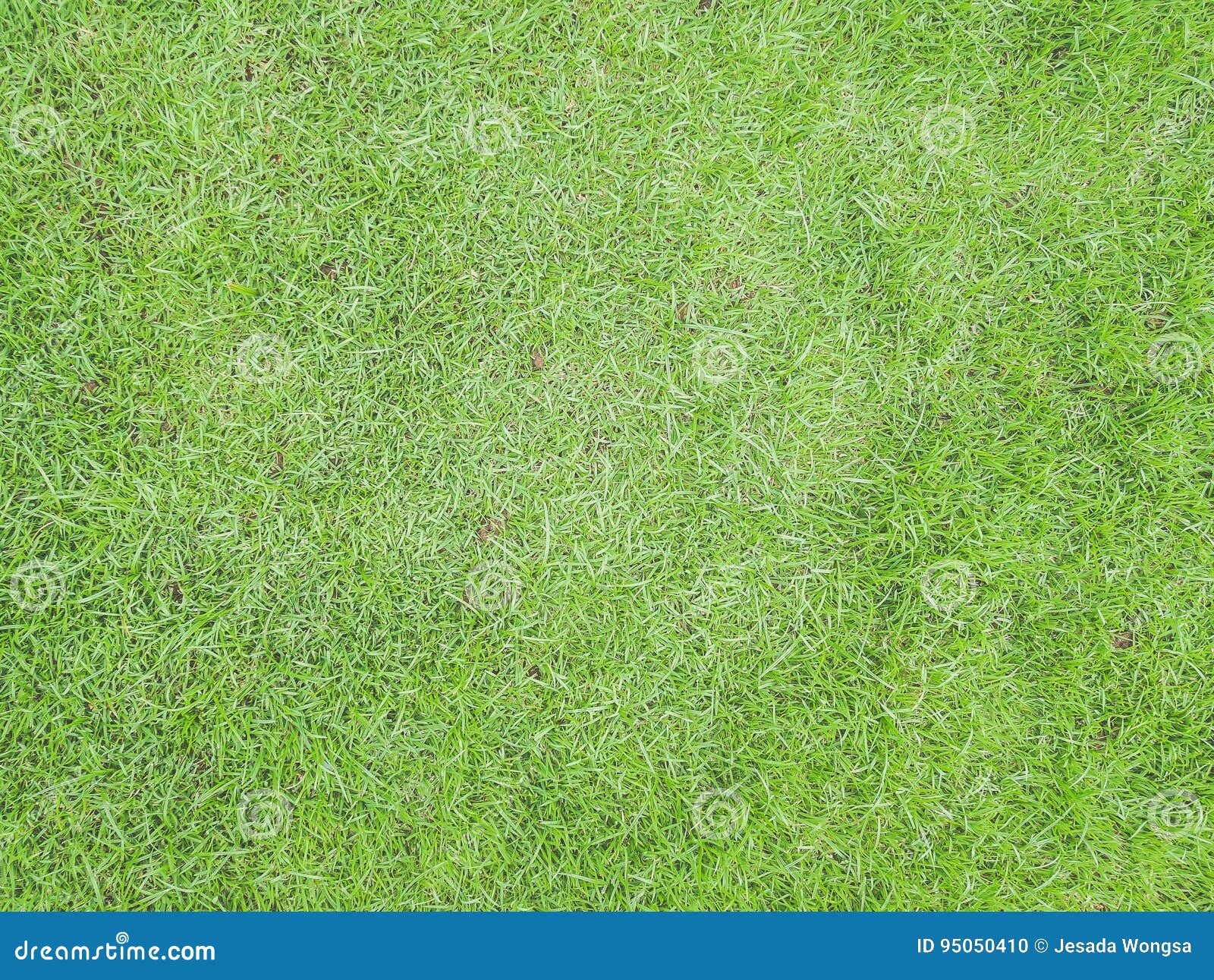 Green Grass Surface Outdoor Nature Backgroud Stock Photo - Image of ...