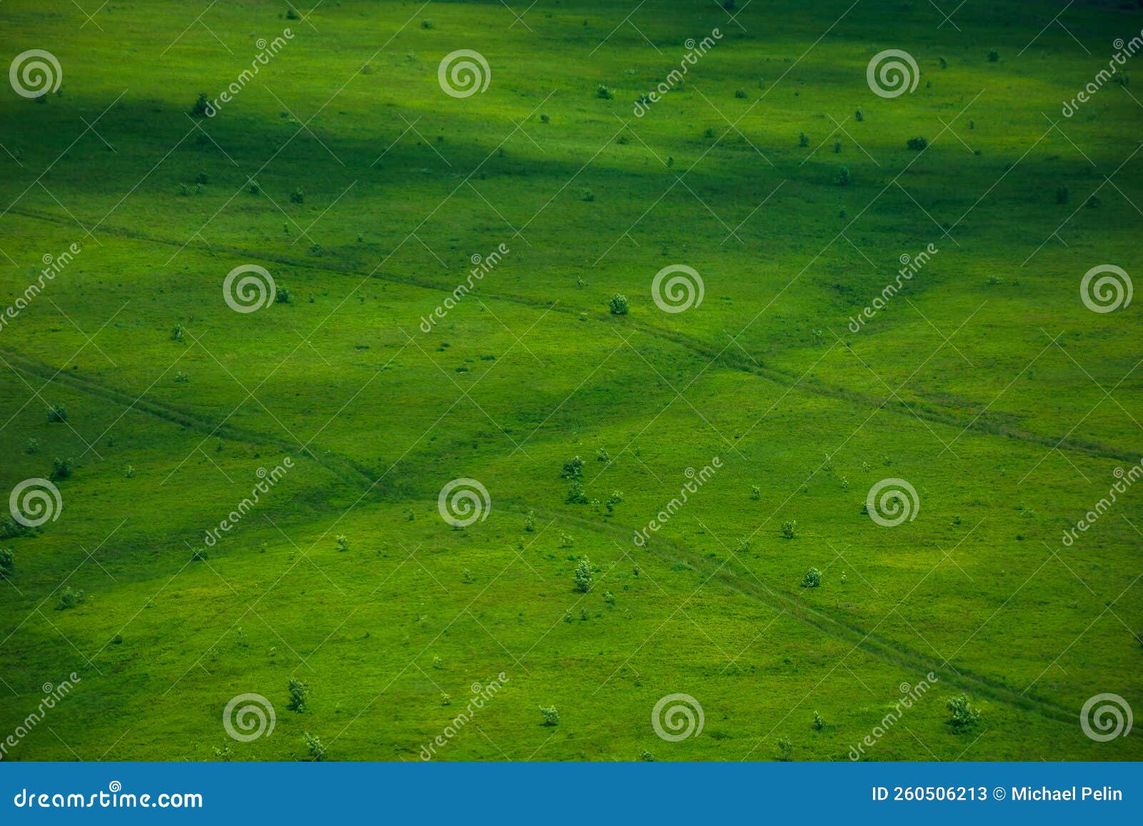 Green Grass Surface Texture Stock Image - Image of dappled, beautiful ...