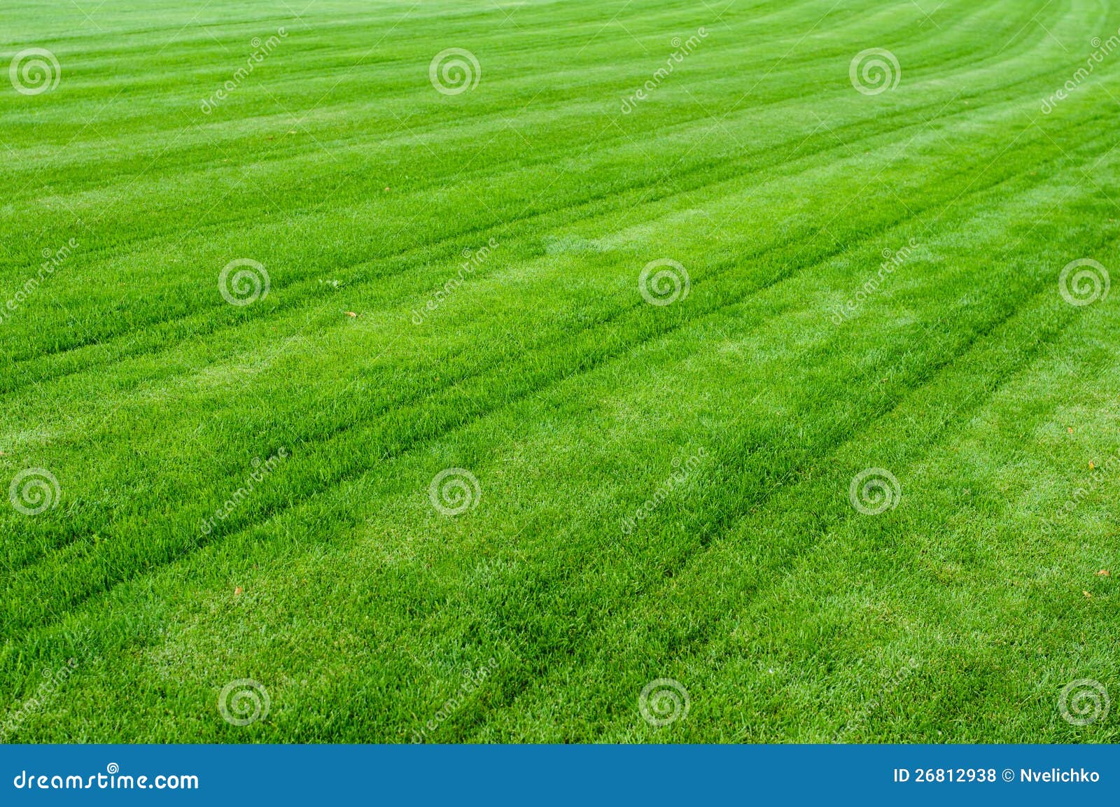 Grass Texture Perspective Stock Photos - Royalty Free Pictures