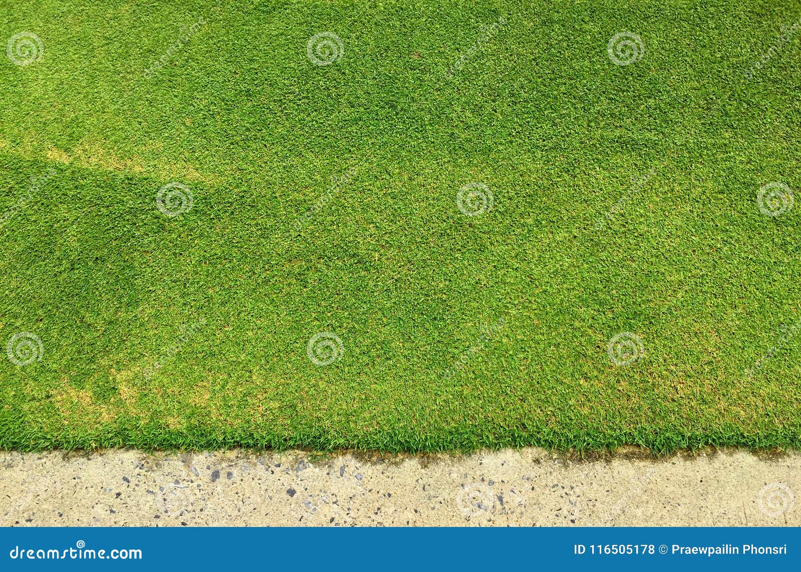 Green Grass Texture Background of Golf Course with Concrete Area. Stock ...