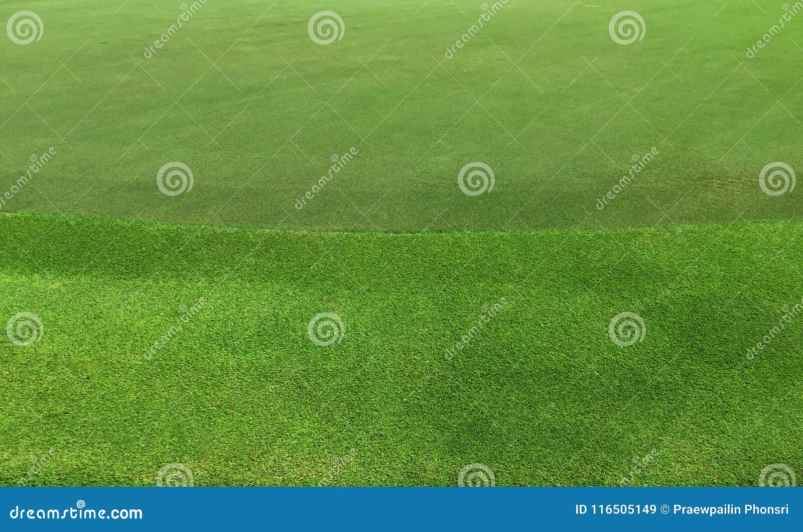Green Grass Textured Background of Golf Course. Stock Image - Image of ...