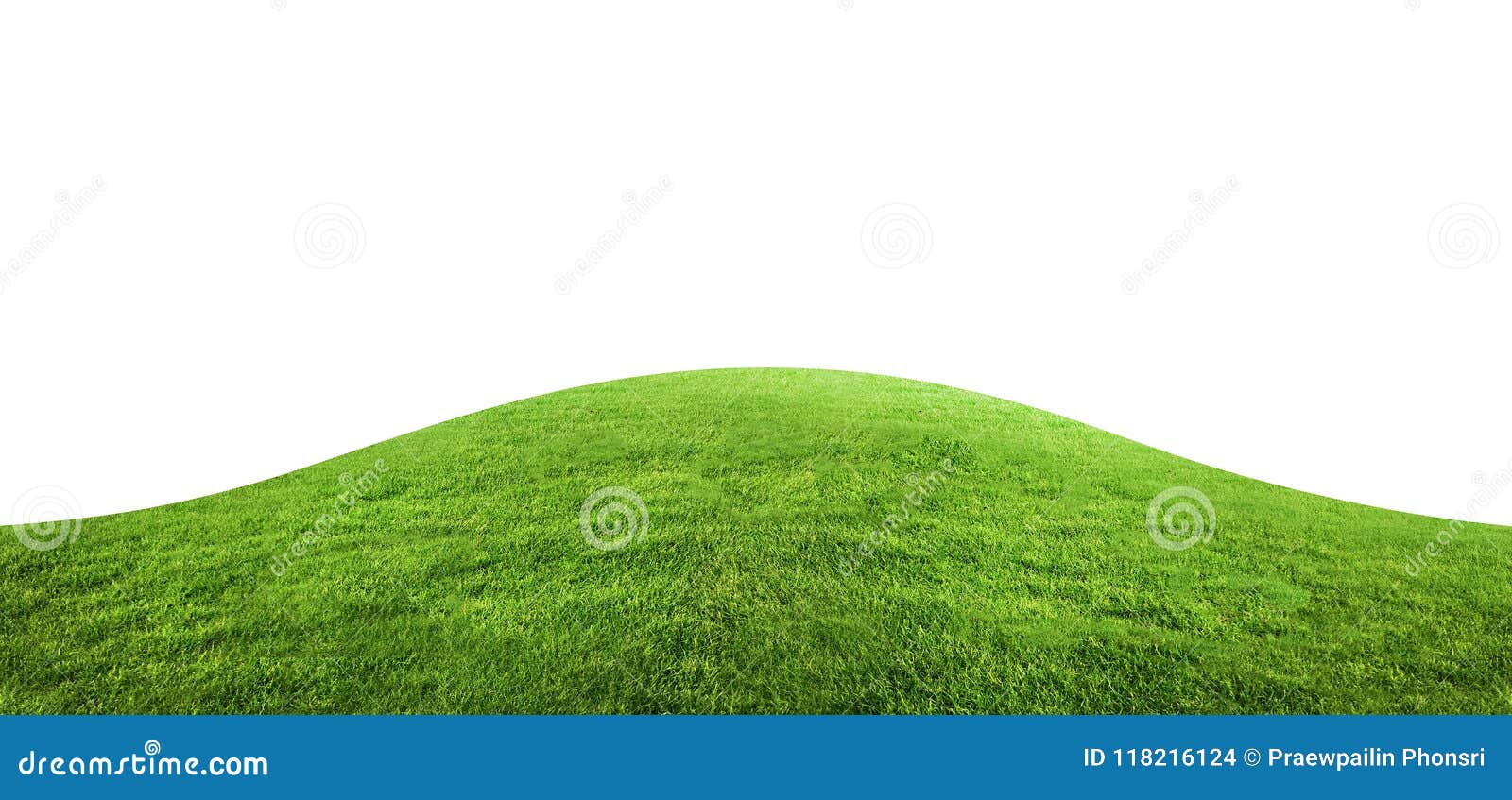 Green Grass Texture Background Isolated On White Background. Stock ...