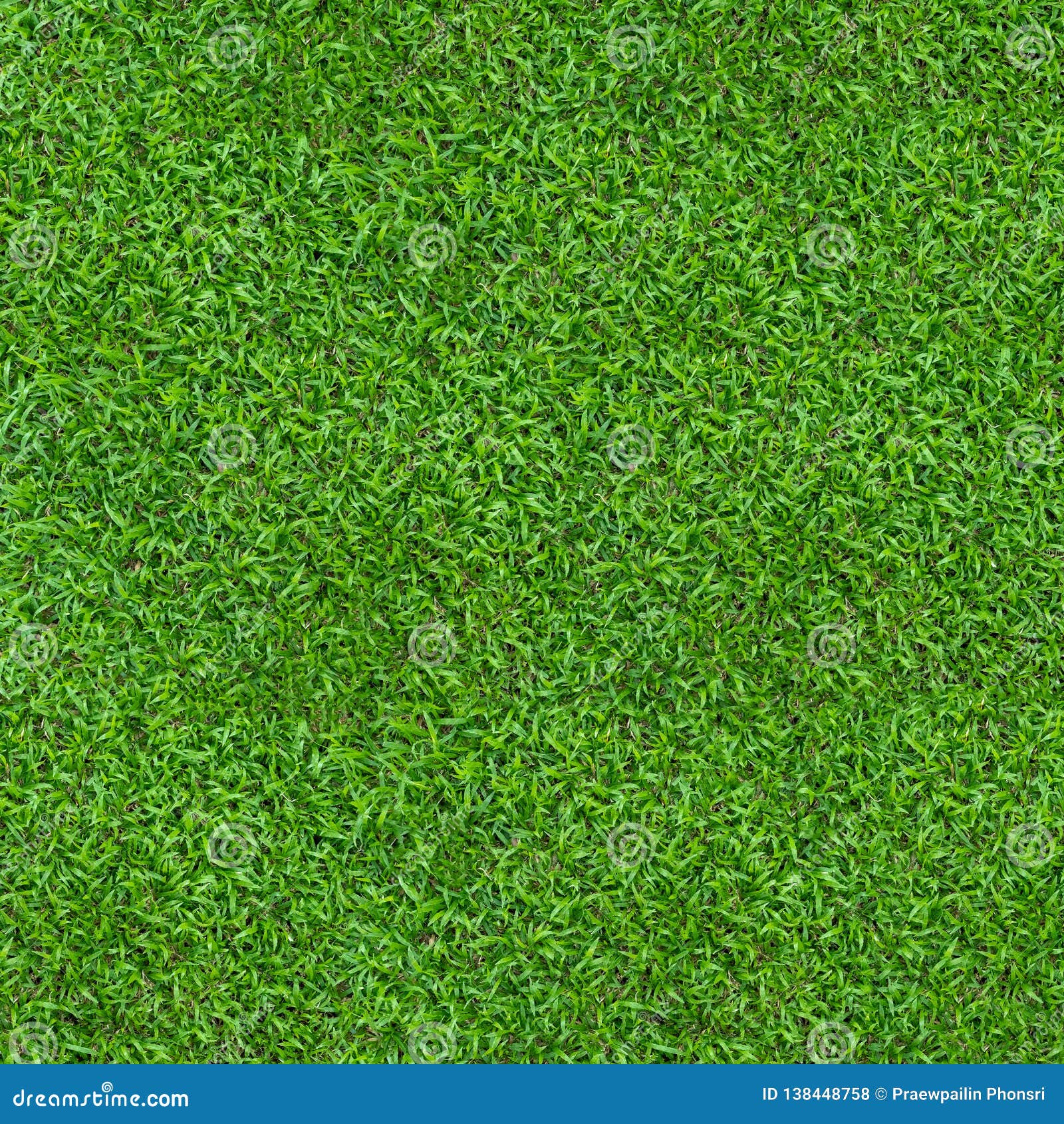 Green Grass Texture for Background. Green Lawn Pattern and Texture ...
