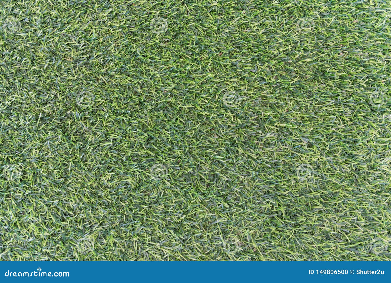 Green Grass Texture Background. Nature and Wallpaper Concept Stock ...